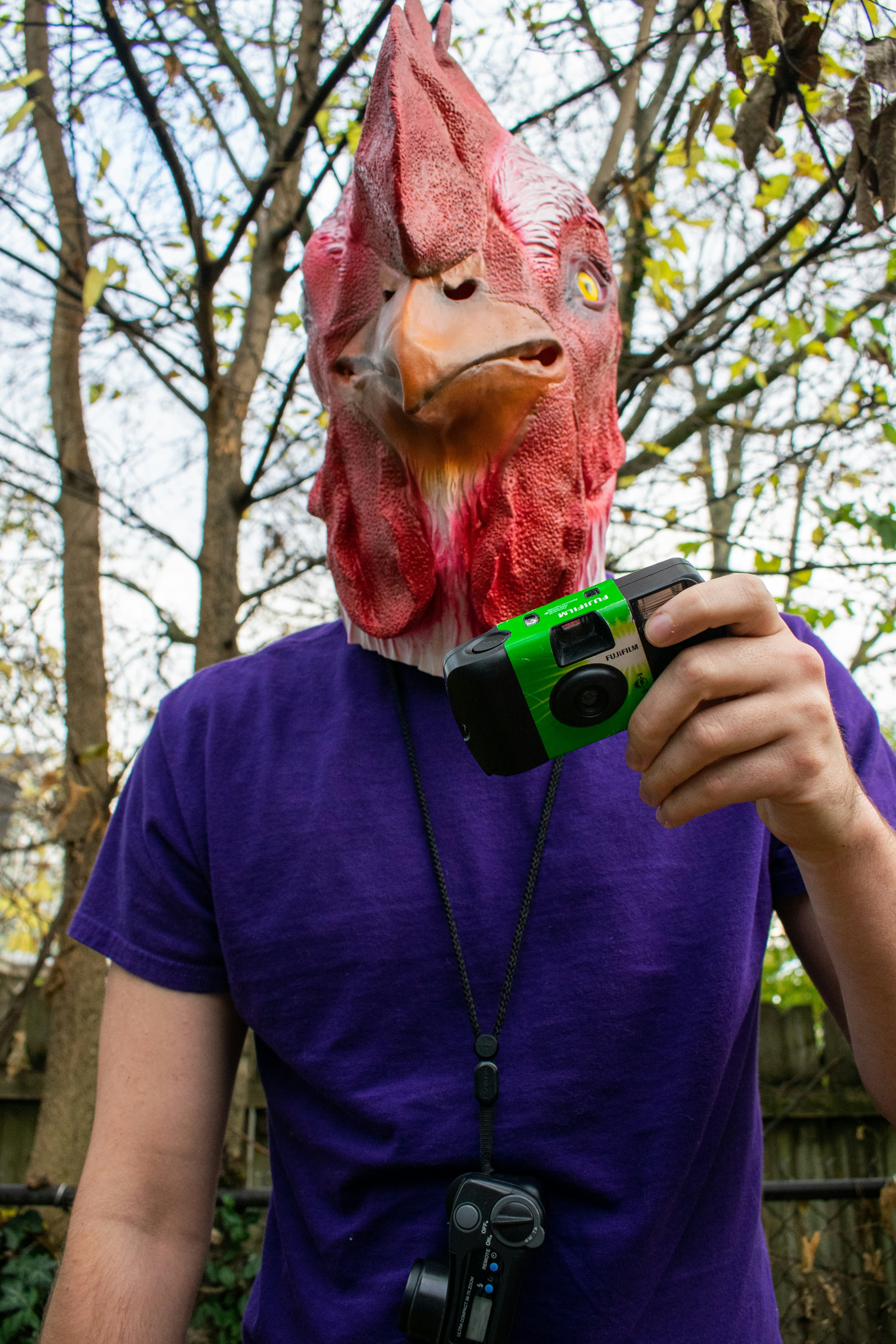 Masquerade in the Orchard: A Feathery Mask, a Bright Camera, and a Purple Tee
