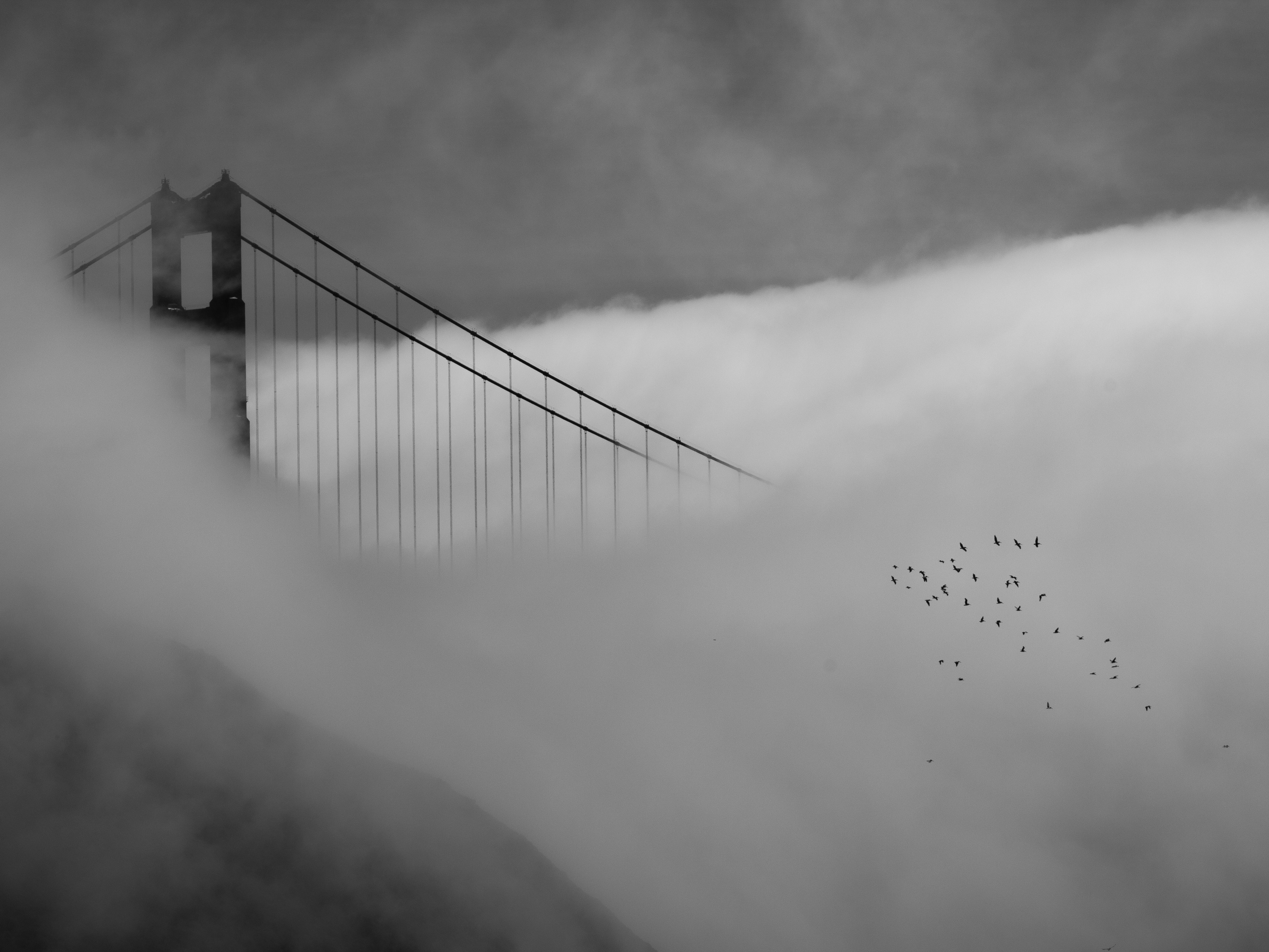 Fog-Threaded Span: Tower Emerges Through the Mist
