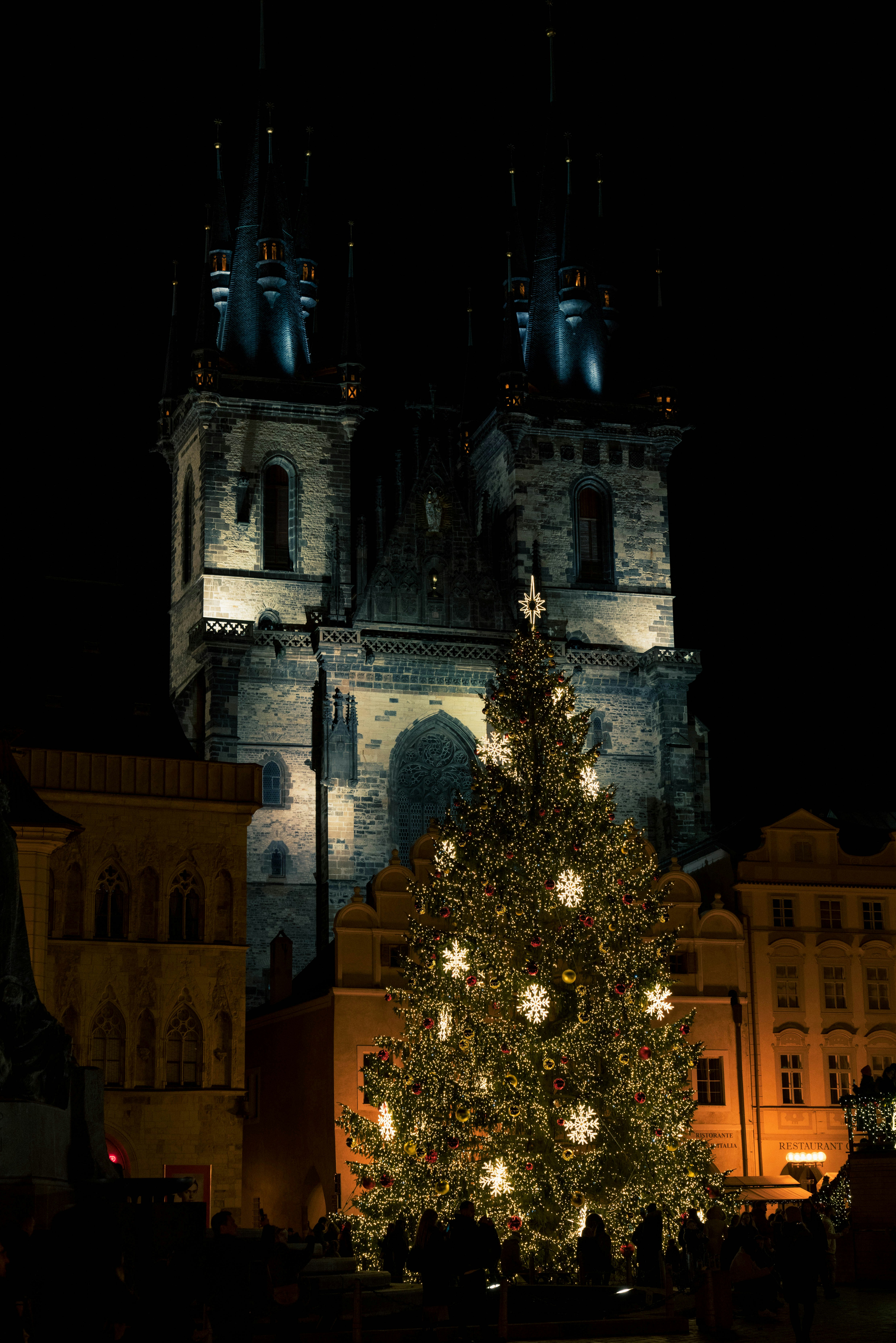 Yuletide Glow Before Twin Spires: Night-lit Christmas Tree in a Gothic Square