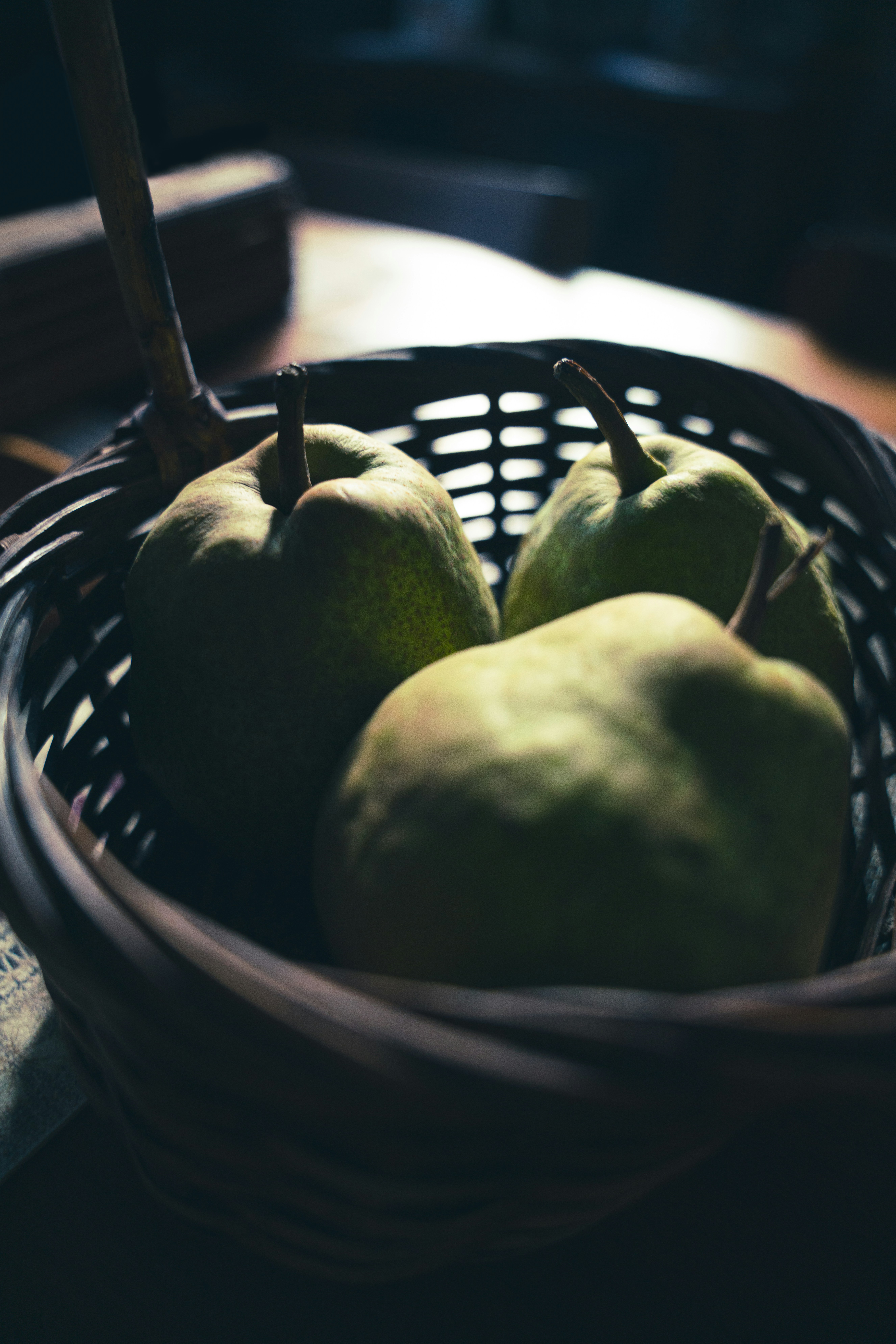 Photo by Ritz with Sony Alpha 7R III