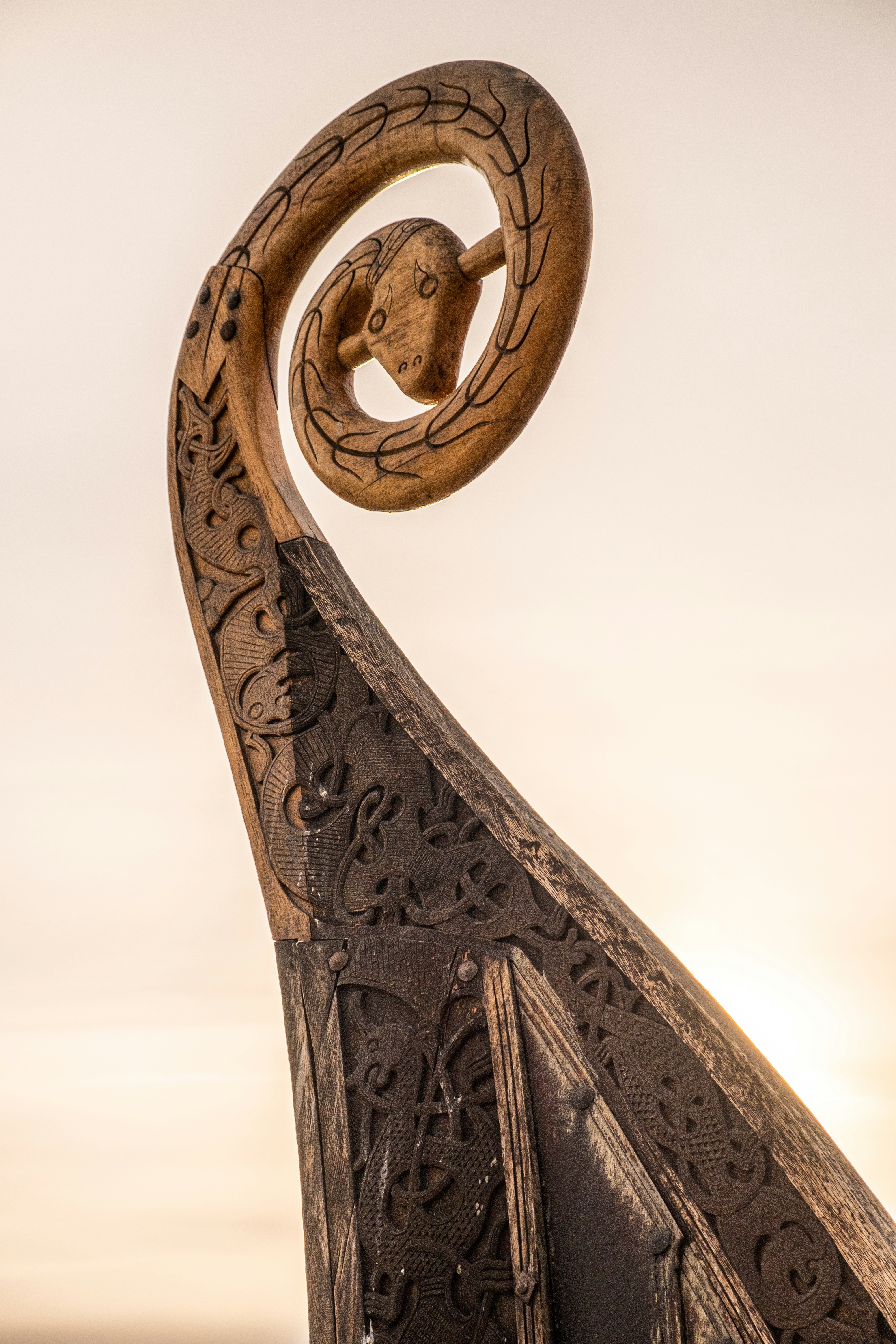 Curled Carving in Warm Light: A Whorl of Craft