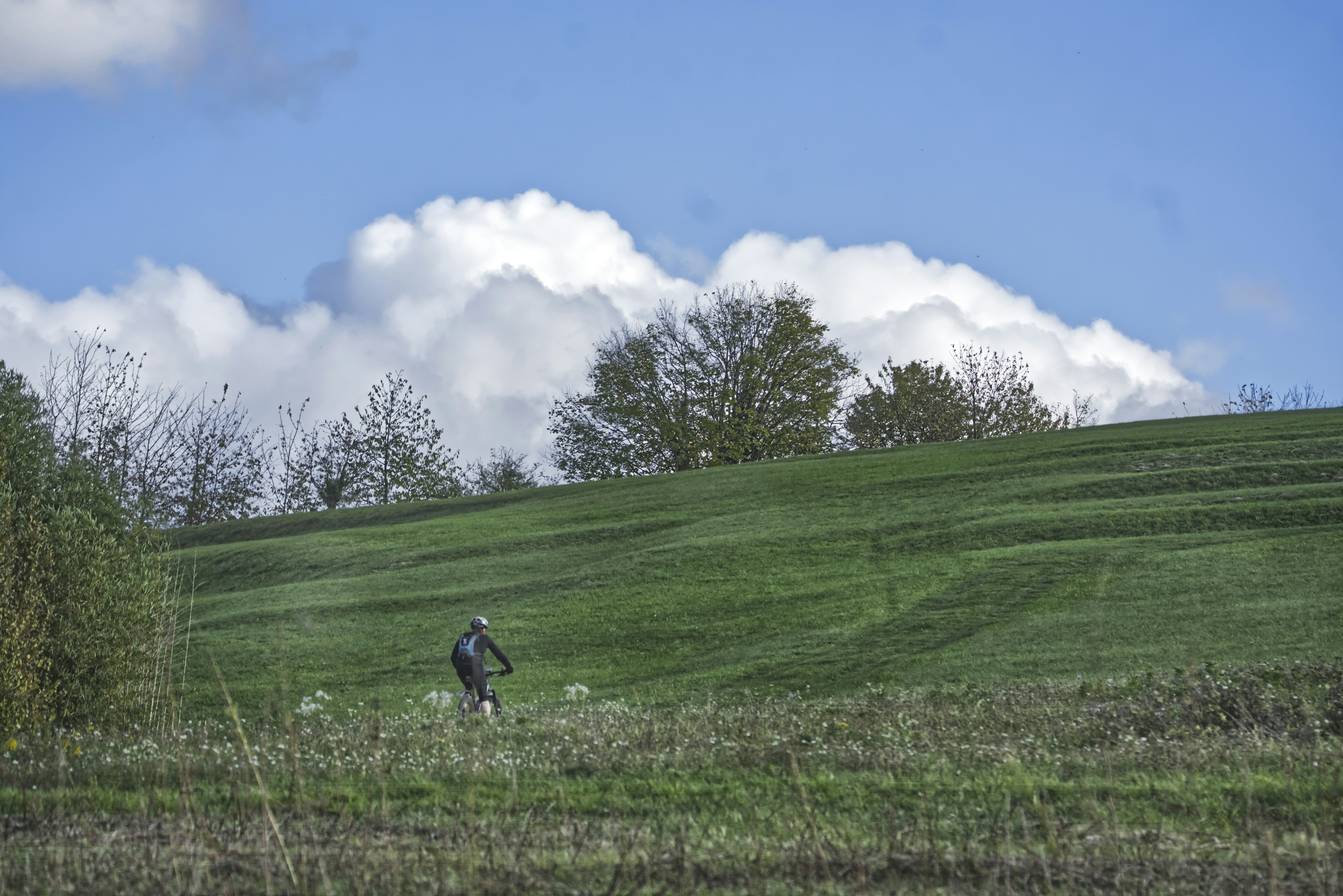 A person walking in a field photo – Free Person Image on Unsplash