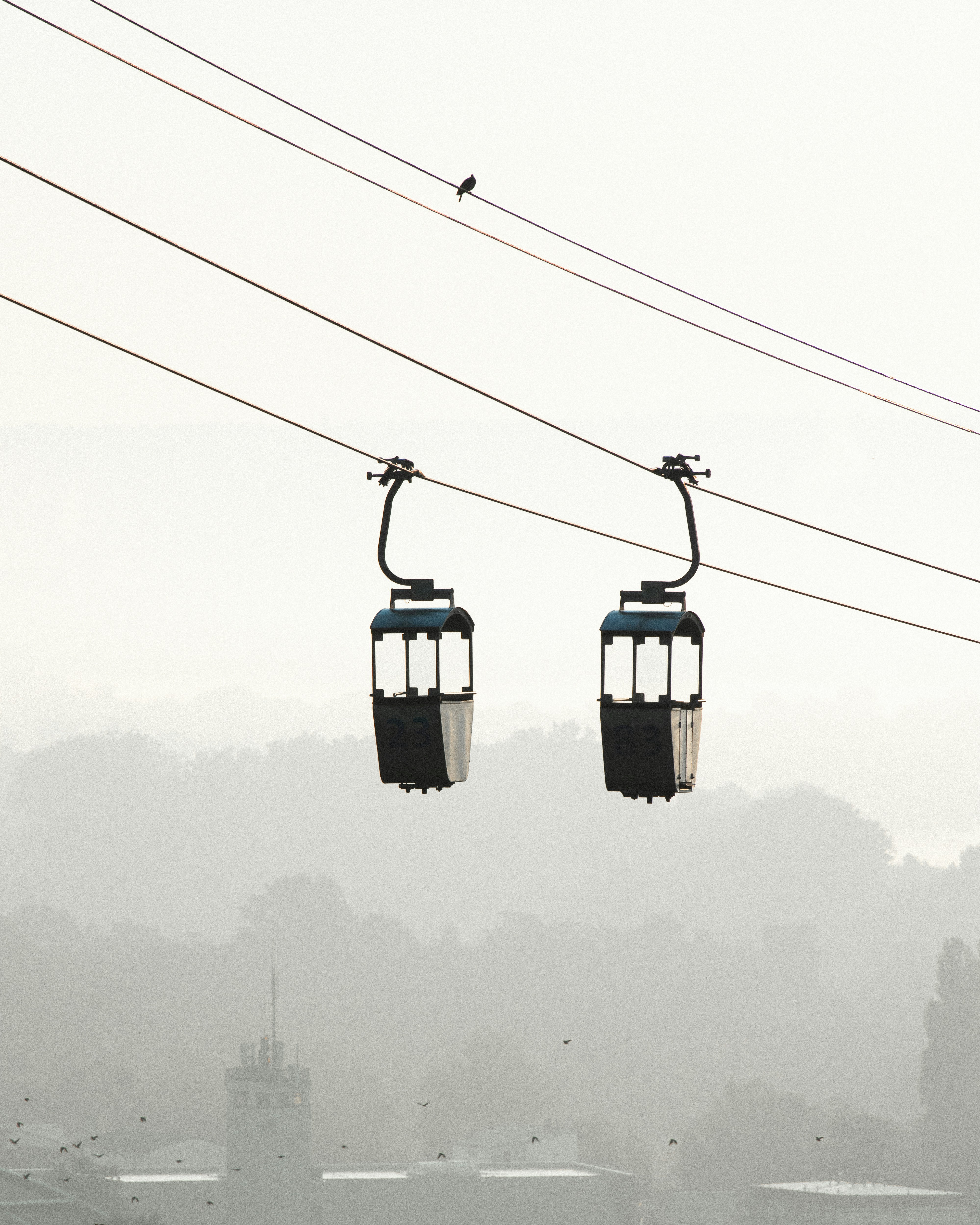 A group of people riding on a cable car photo – Free Germany Image on ...