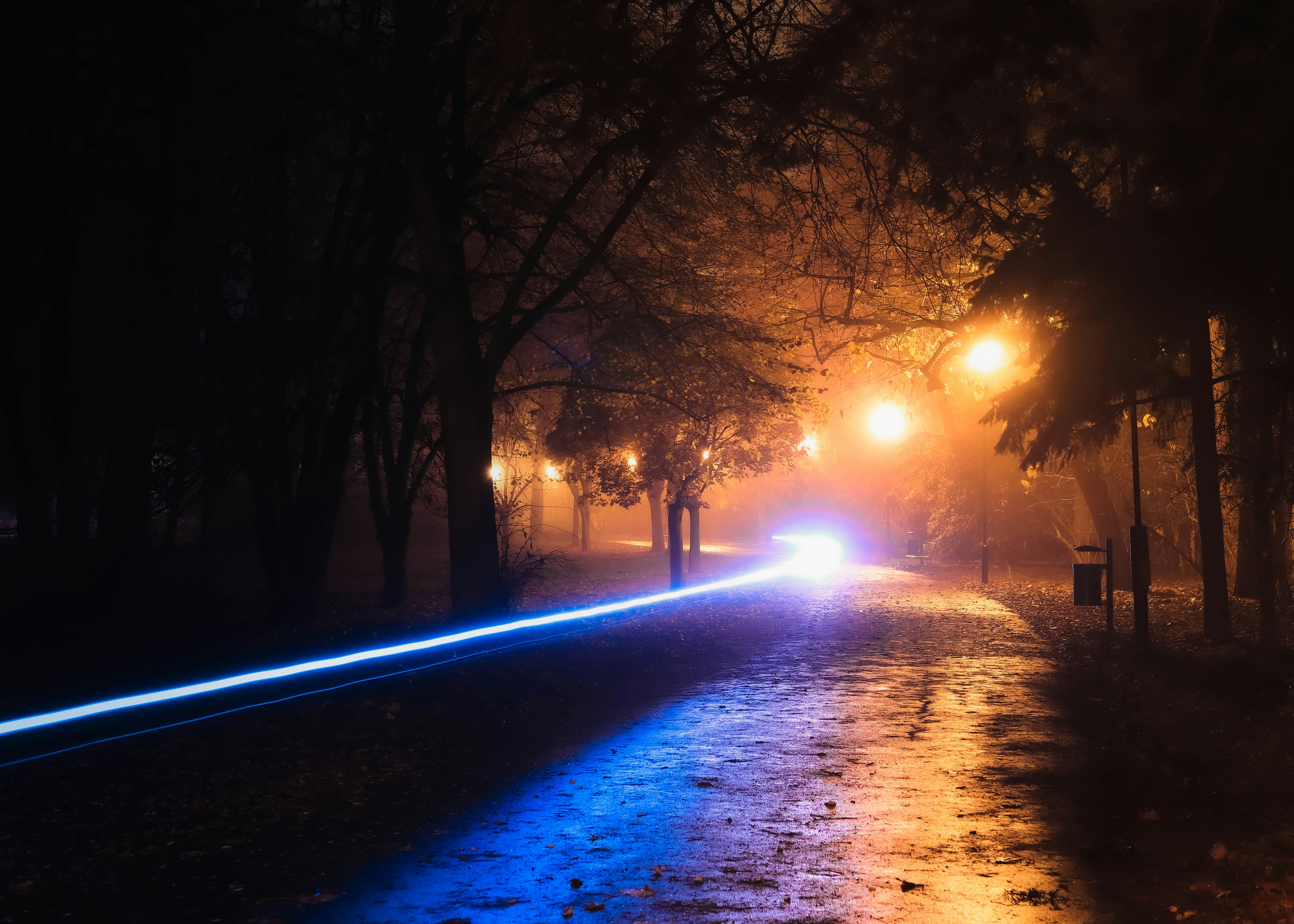 Blue Phantom on a Dim Road: A Night of Light Trails