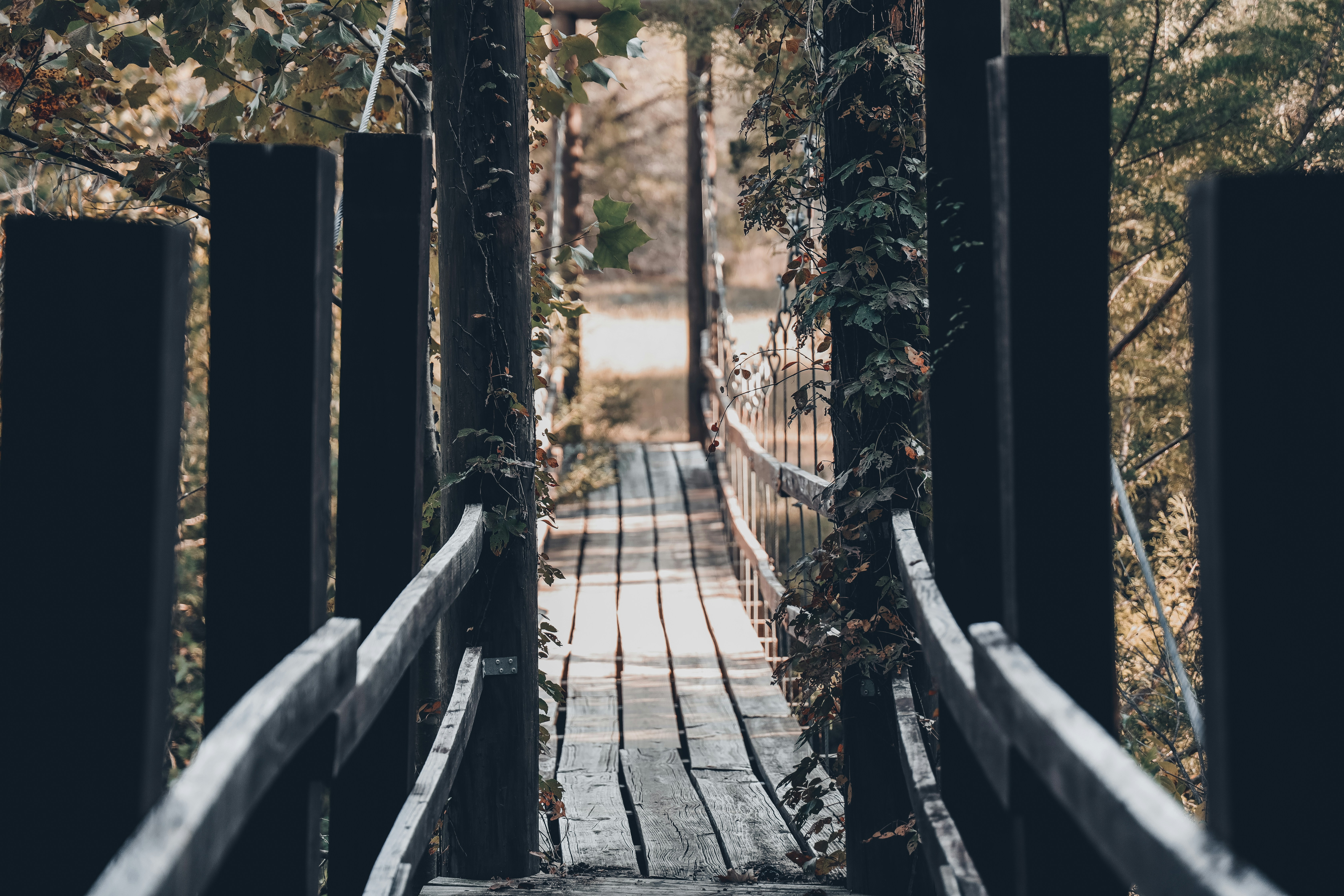 a wooden bridge with trees on either side of it