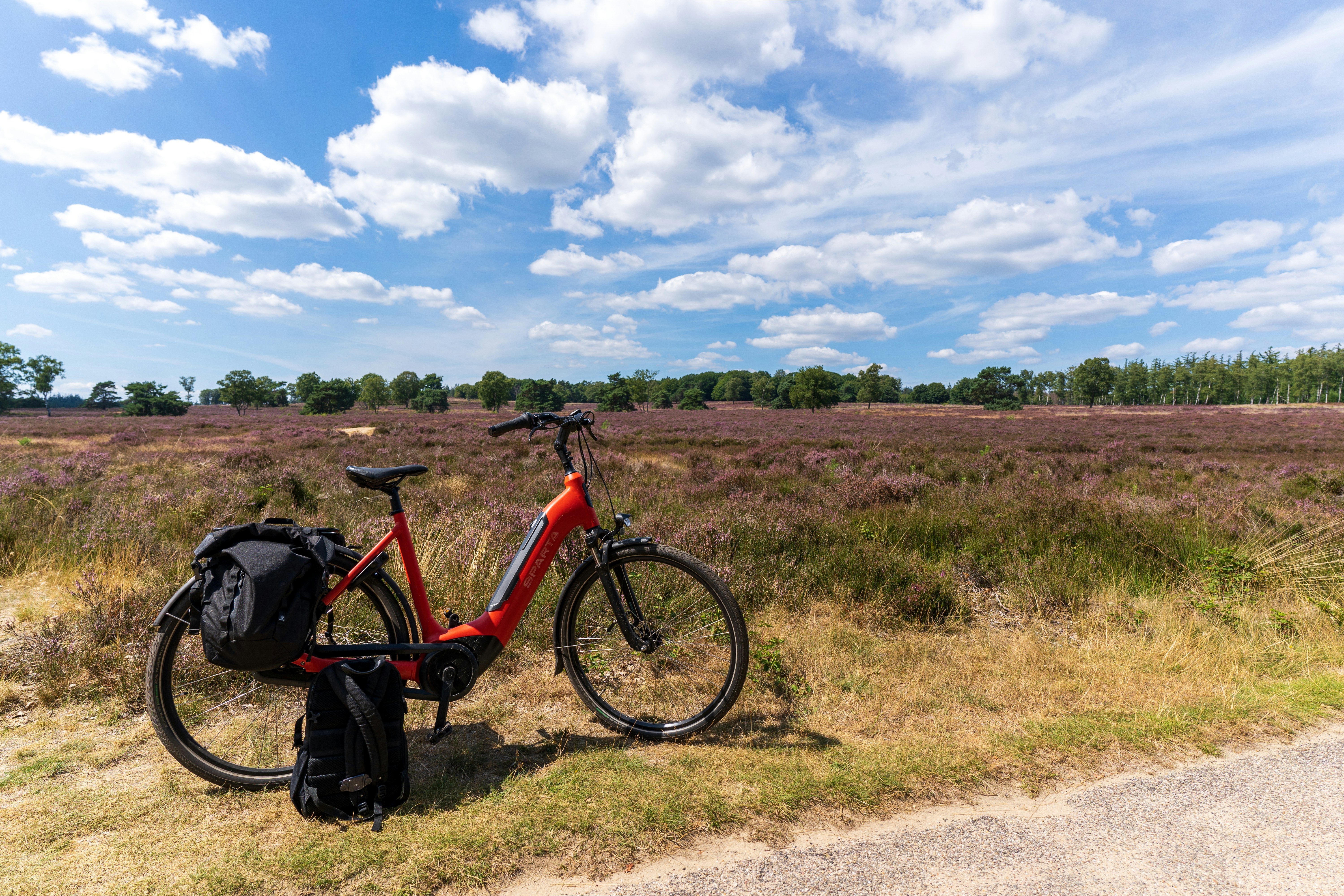 Electric bike parked beside vibrant lavender fields under a bright blue sky with fluffy clouds.