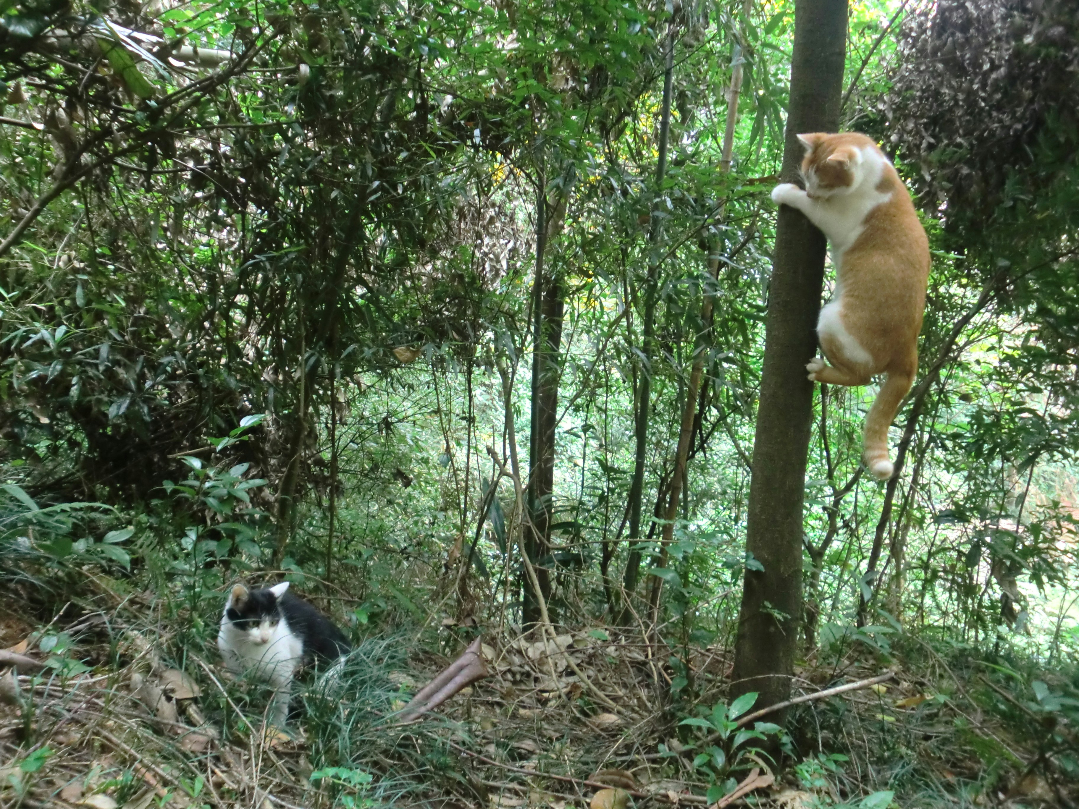 Photo by 德文 陈 with Casio Exilim EX-Z550