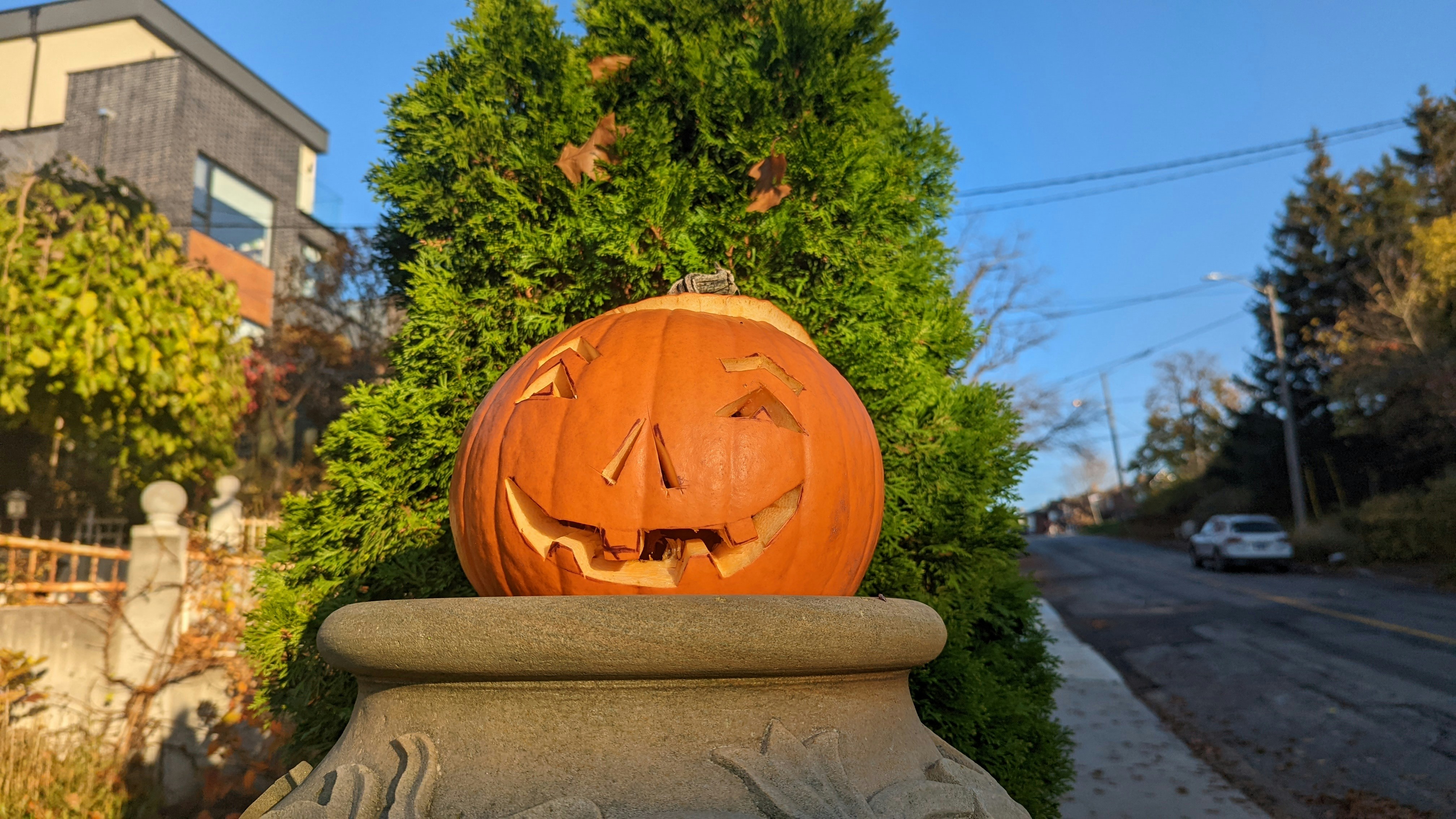Jack-o’-Lantern on a Stone Pedestal under a Potted Fir