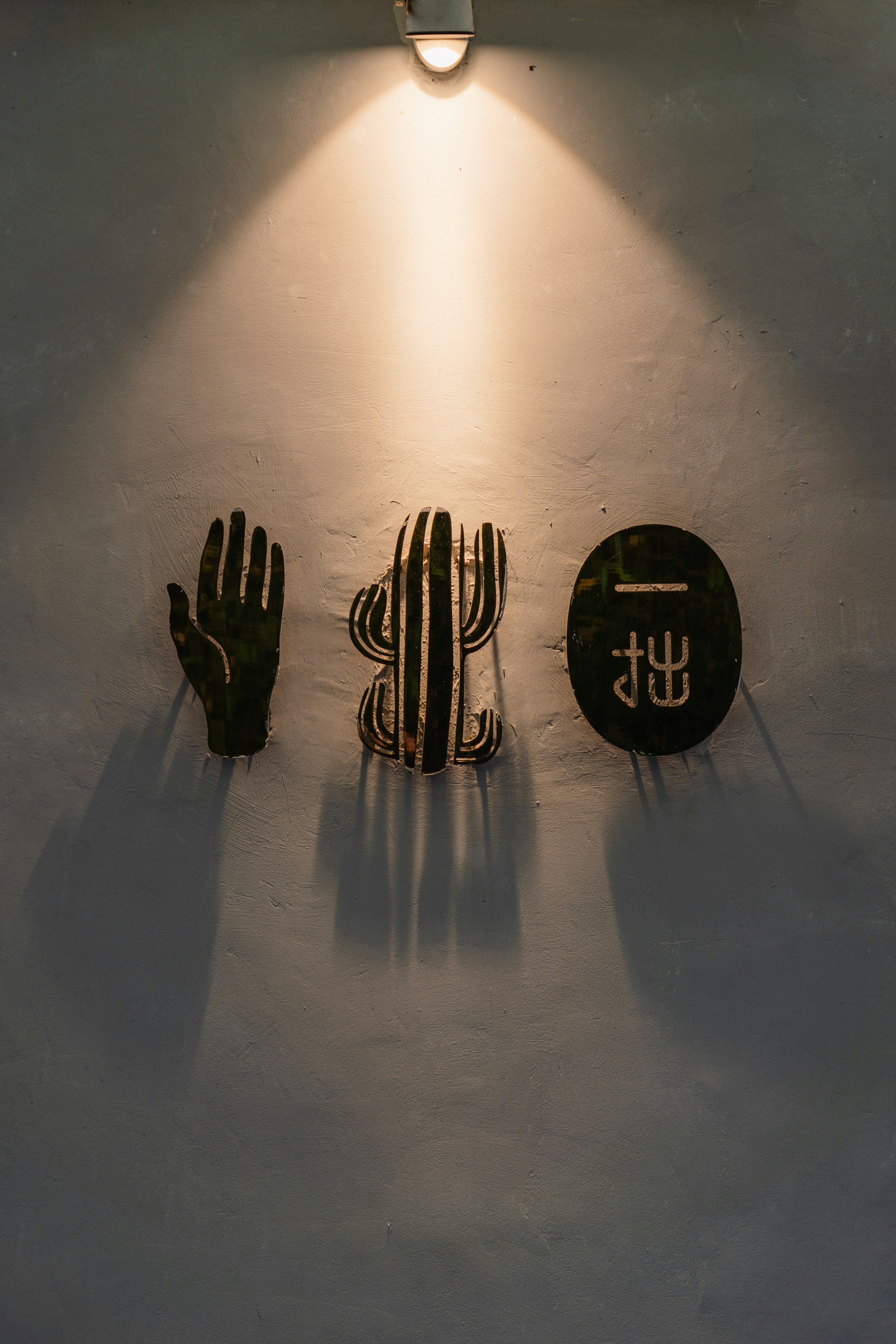 Under One Light: Hand, Cactus, and Sign Shadow Triptych