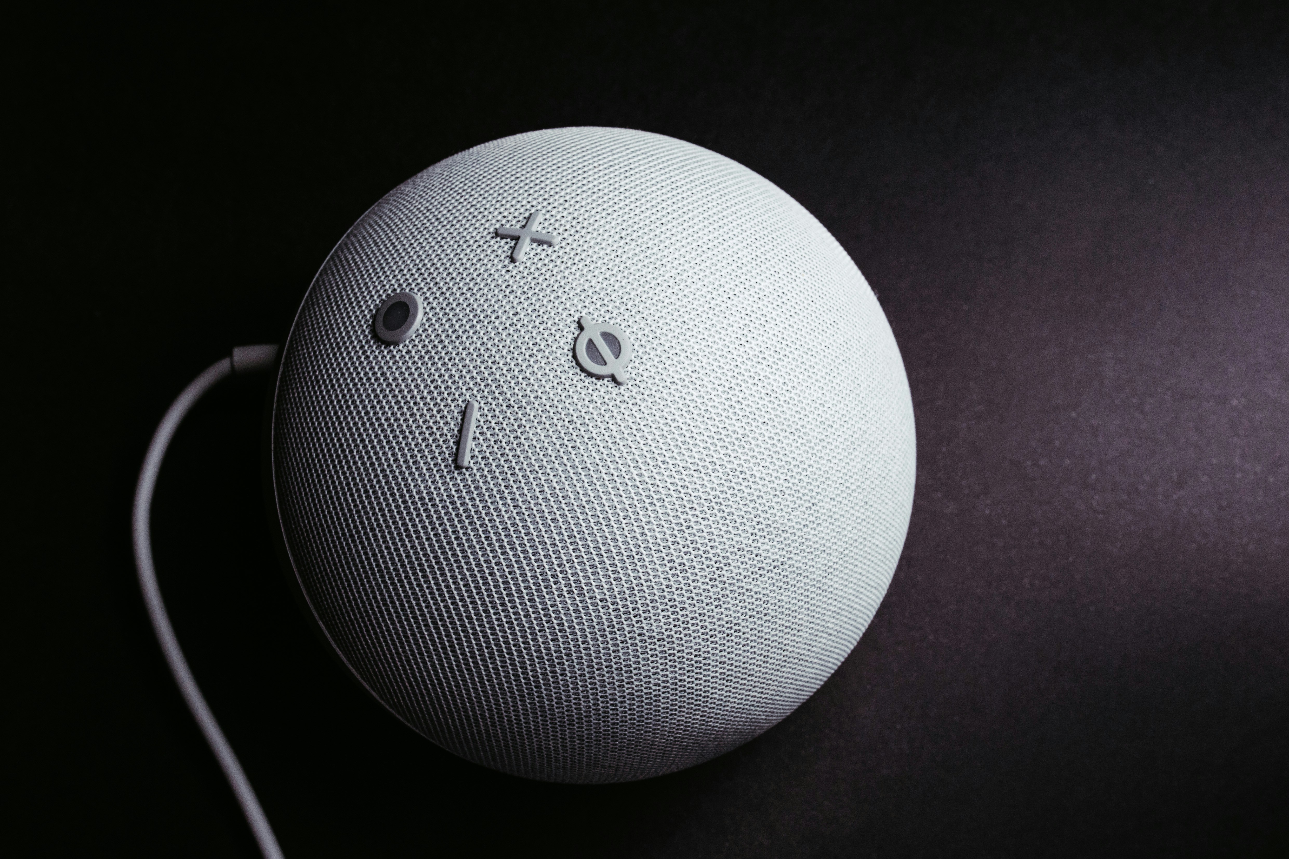 Sphere in Focus: The Smart Speaker's Quiet Dominance