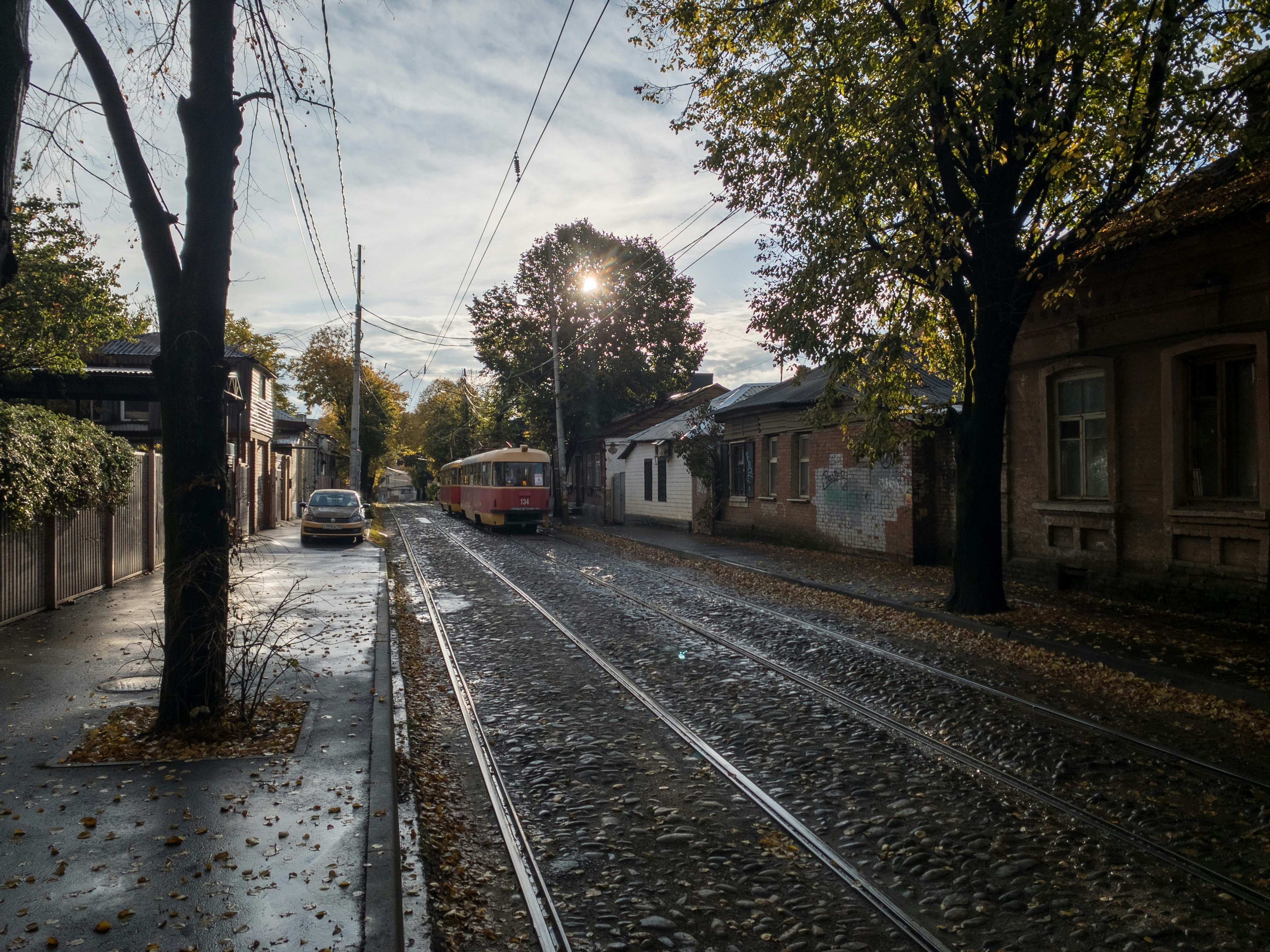 Tram navigating wet tracks on a tree-lined street under a cloudy sky.