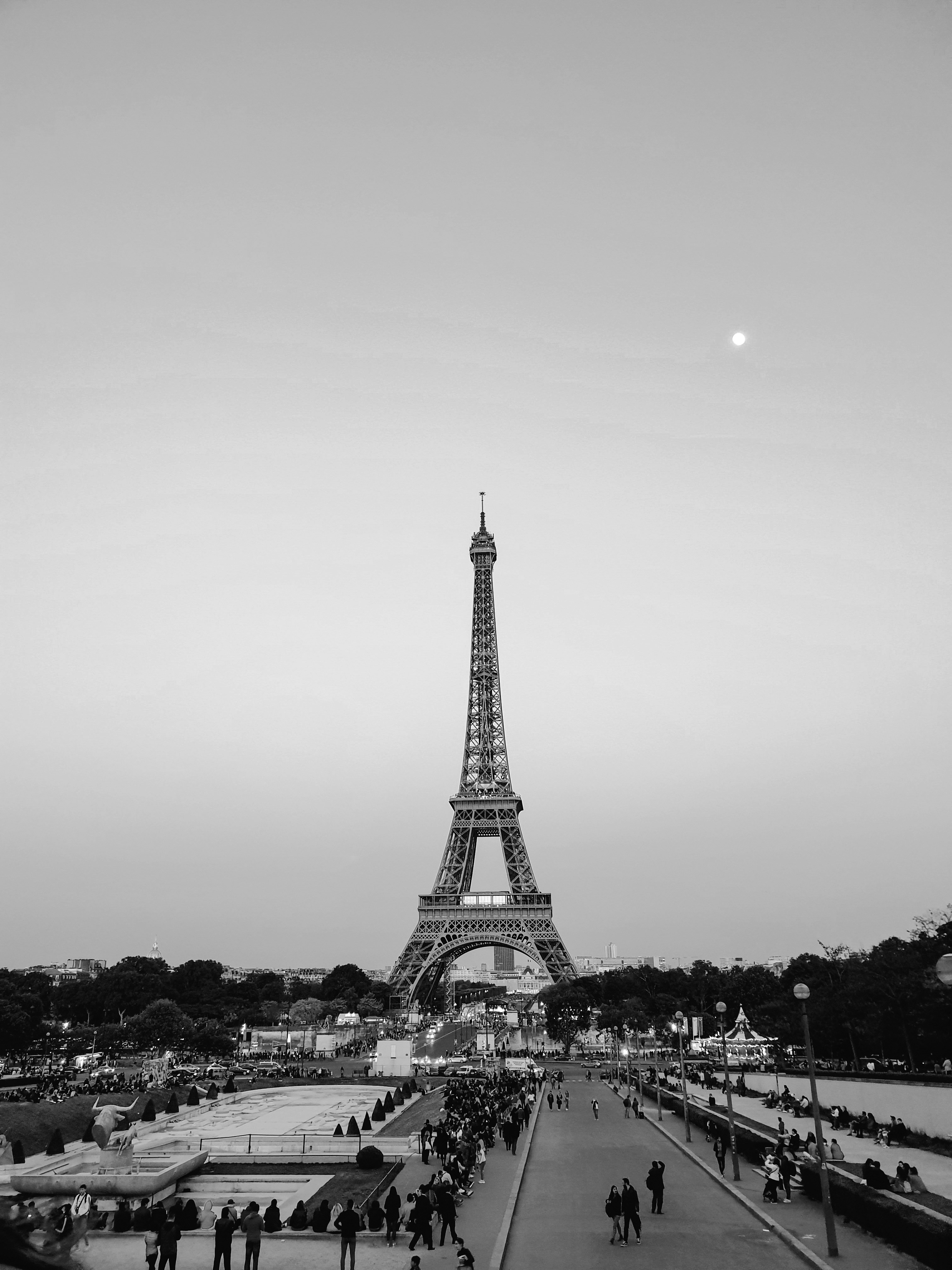 Monochrome Iron: the Eiffel Tower rises over a Parisian esplanade