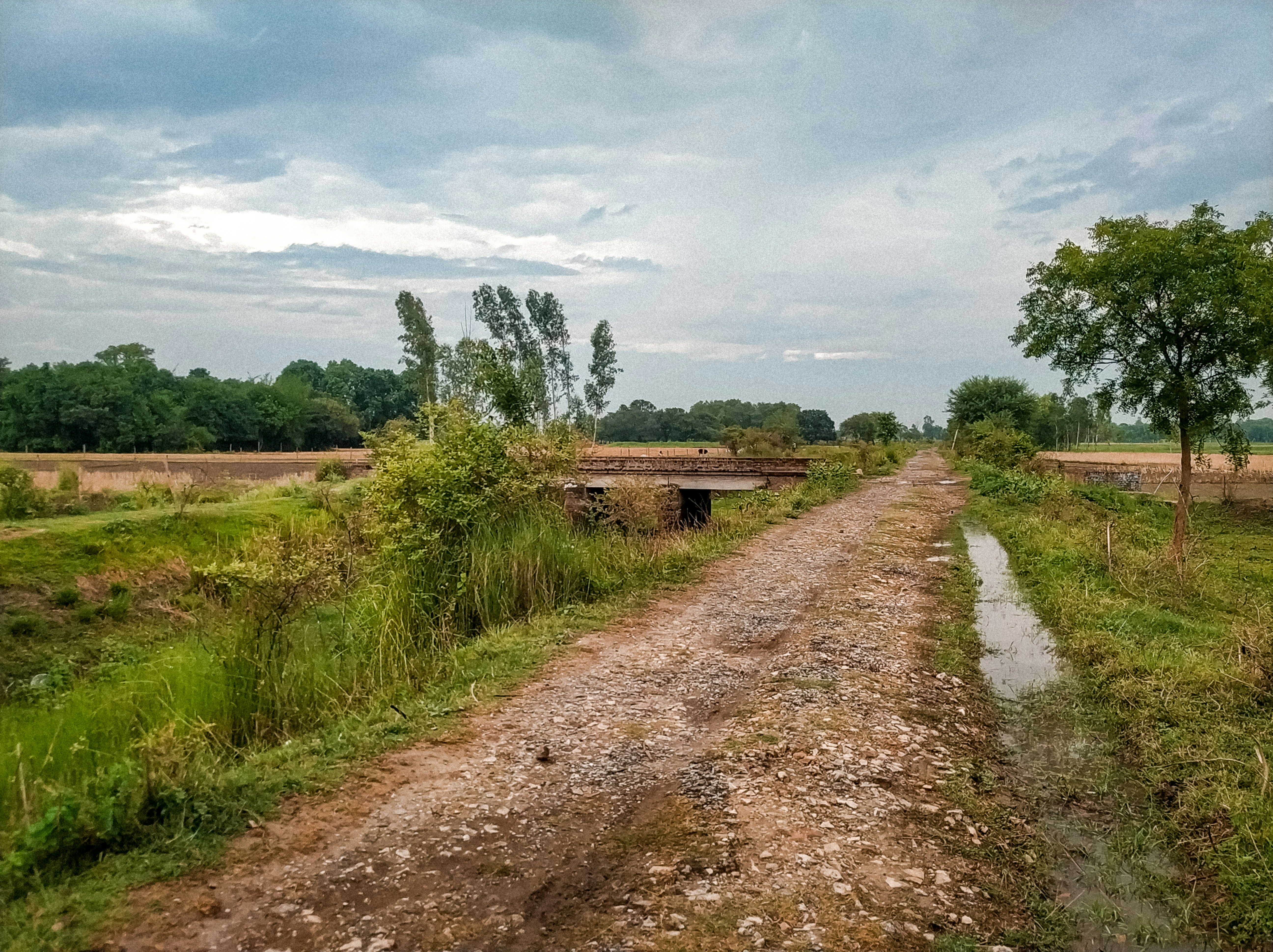 Village Road Pictures | Download Free Images on Unsplash