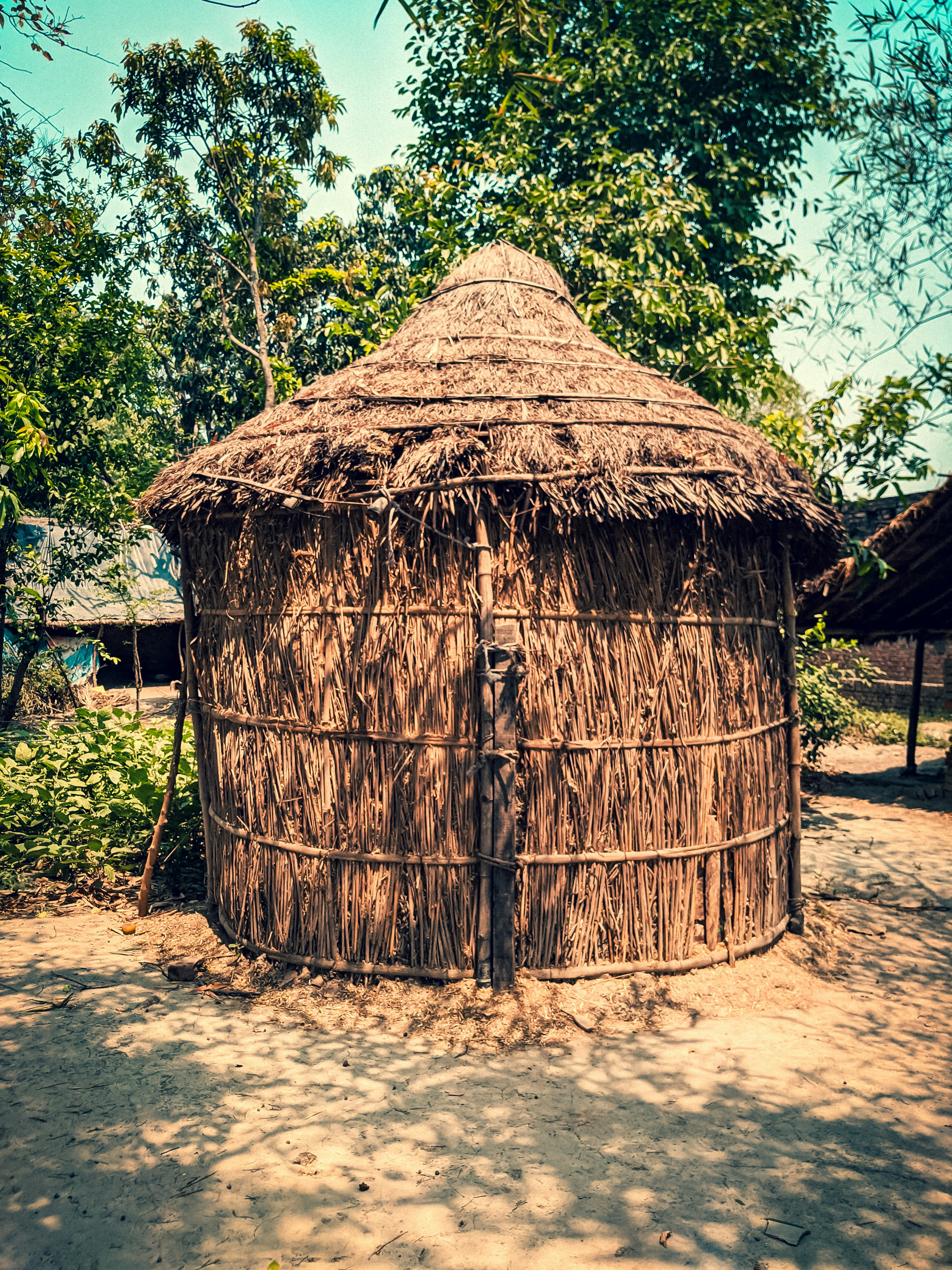A traditional thatched hut nestled among lush greenery, showcasing local architectural style and cultural heritage.