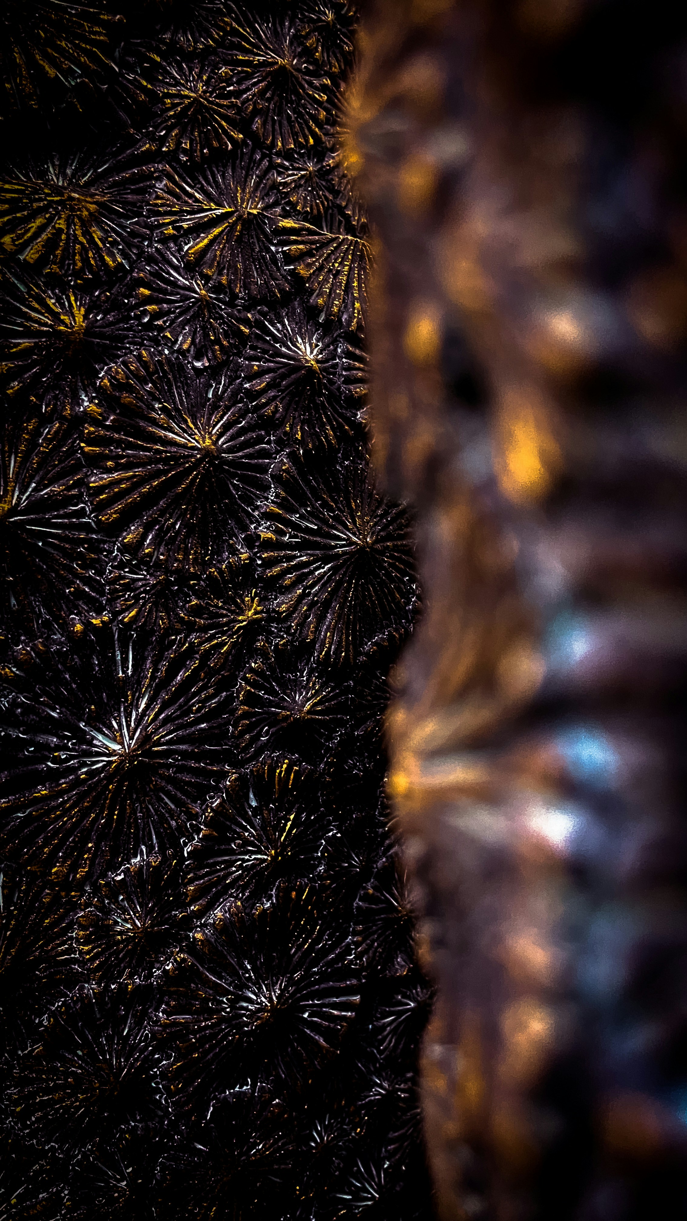 Dusk on a Textured Trunk: Fractal Forest in Macro