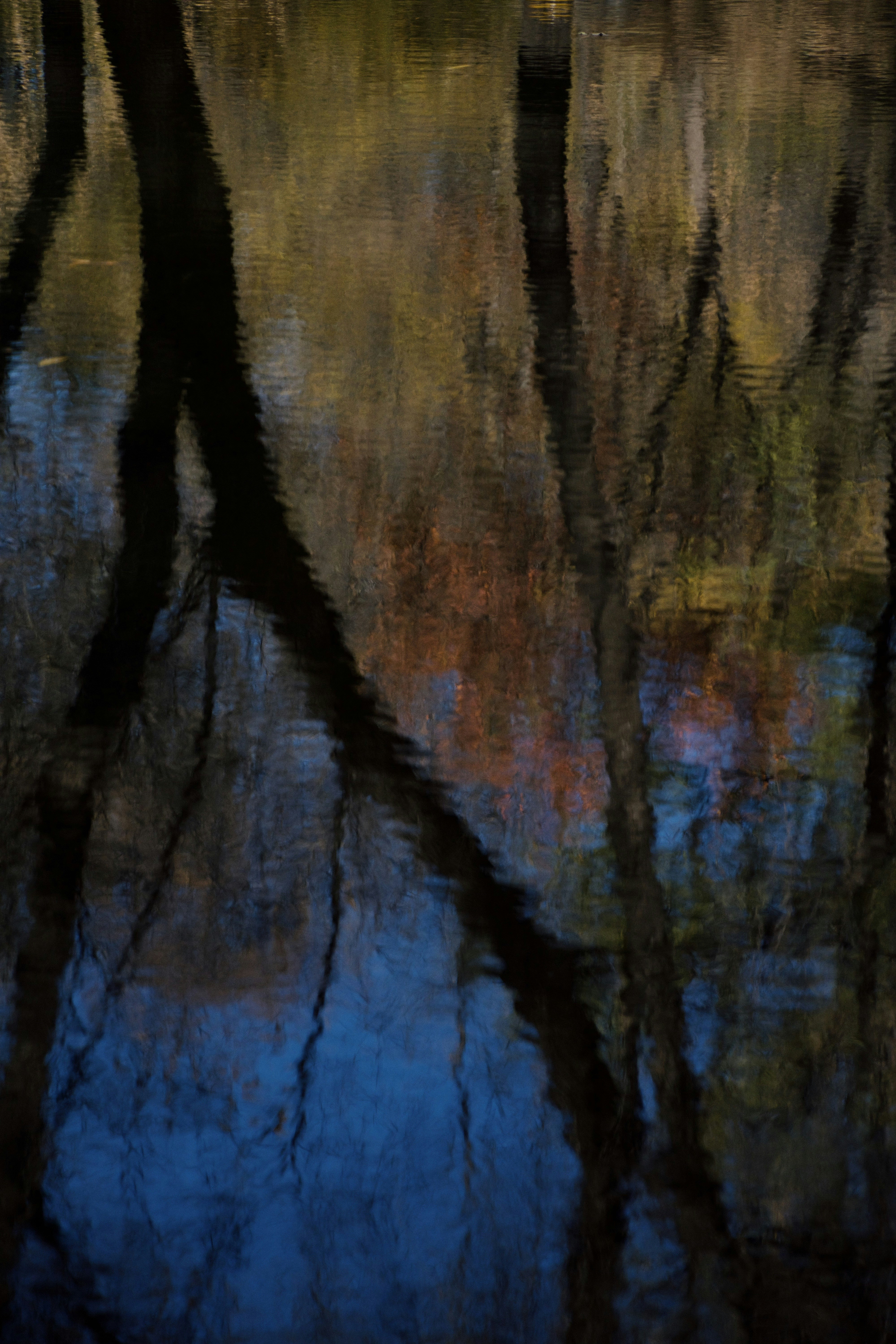 Autumn's Echo on a Quiet Water Mirror