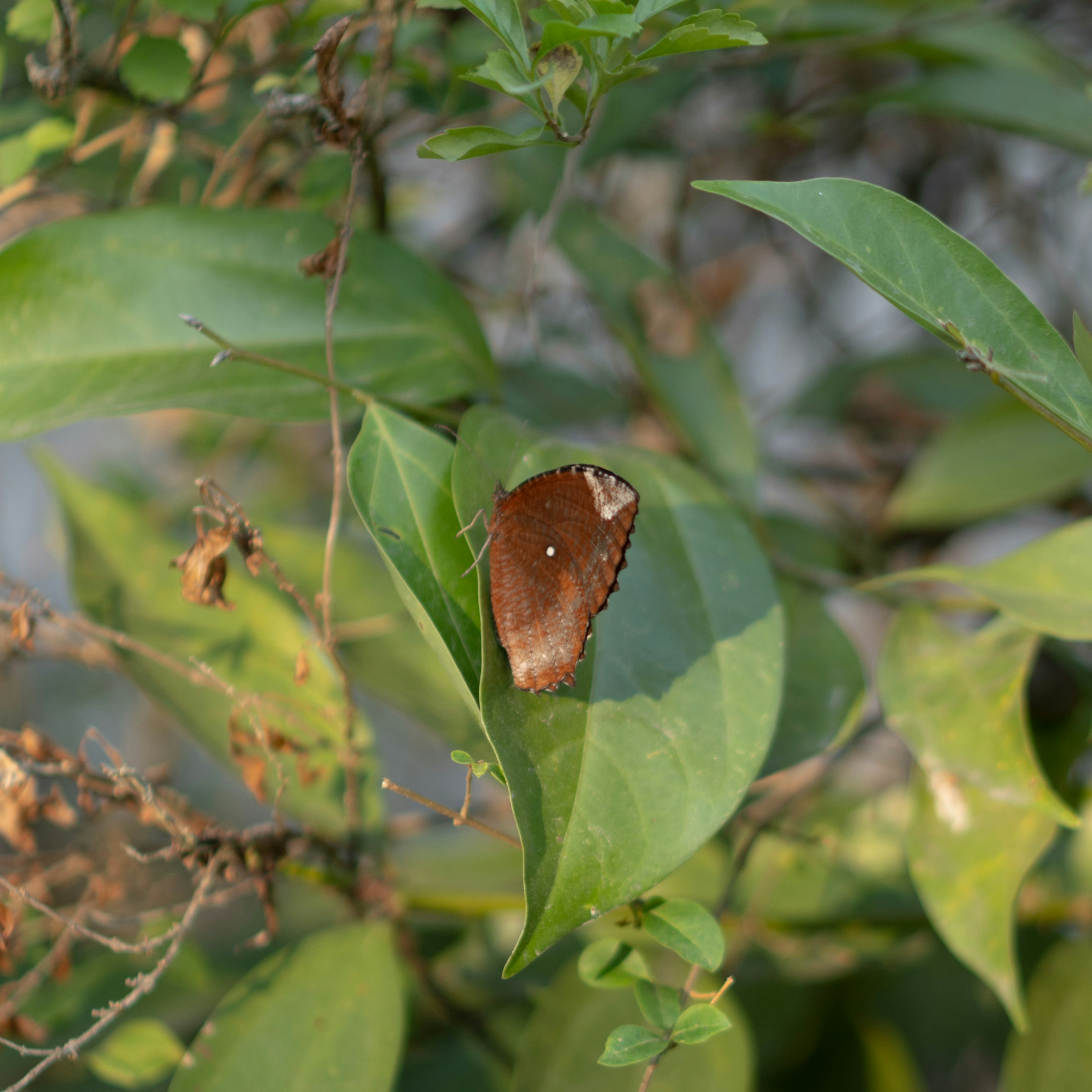 Photo by Shawn Rain with Sony Alpha 6400