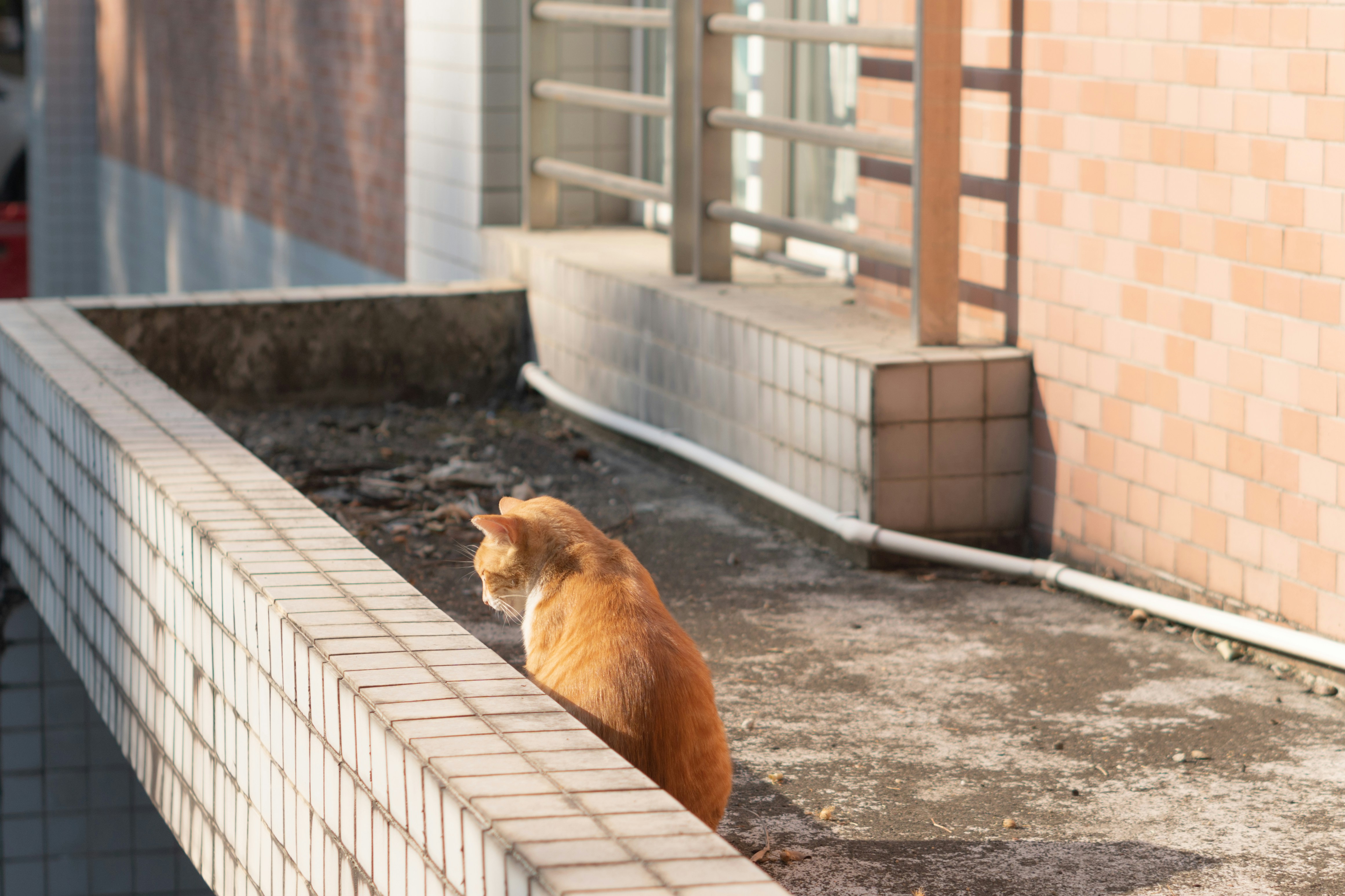 Photo by Shawn Rain with Sony Alpha 6400