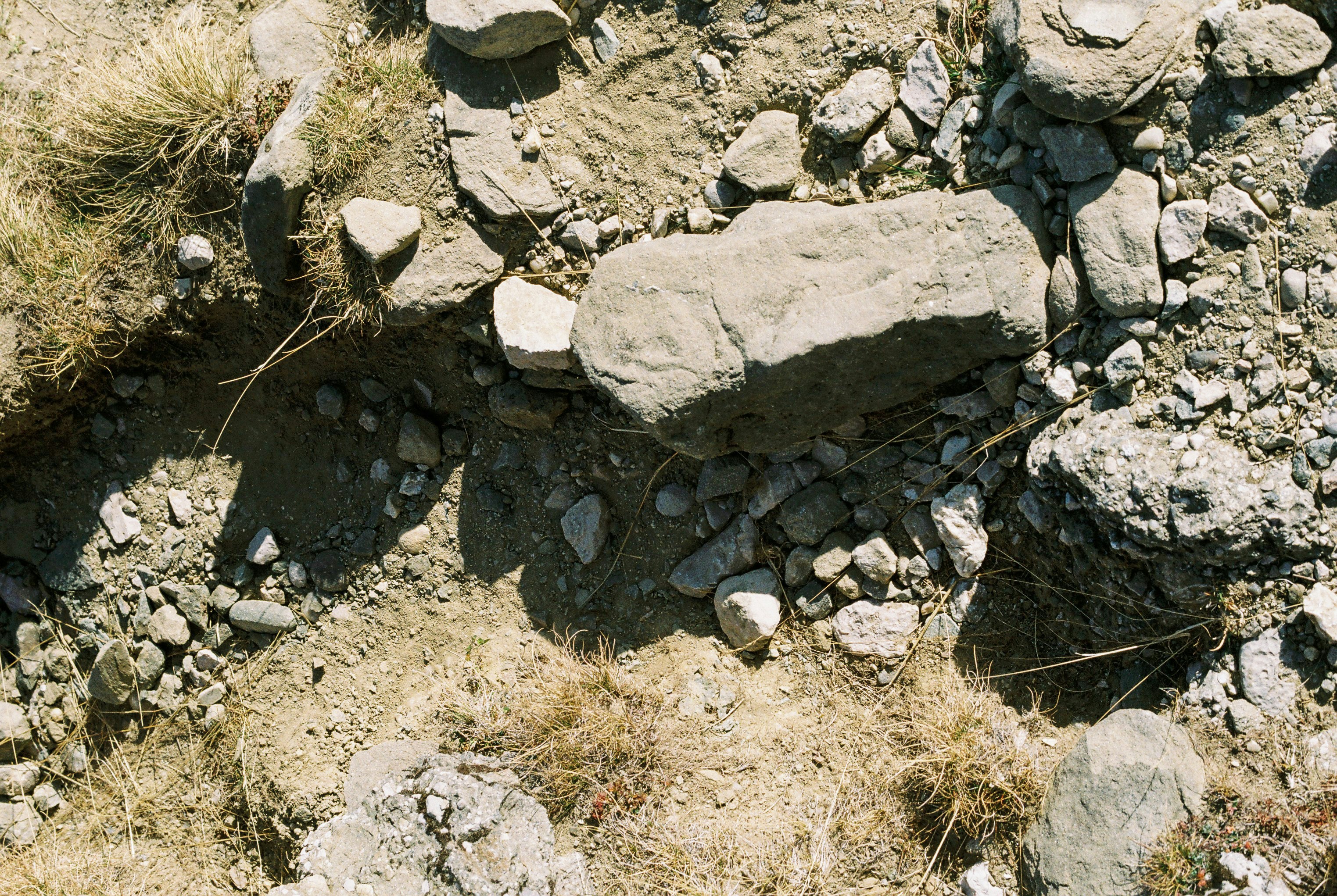Sunlit Bedrock Mosaic on a Sparse Desert Floor