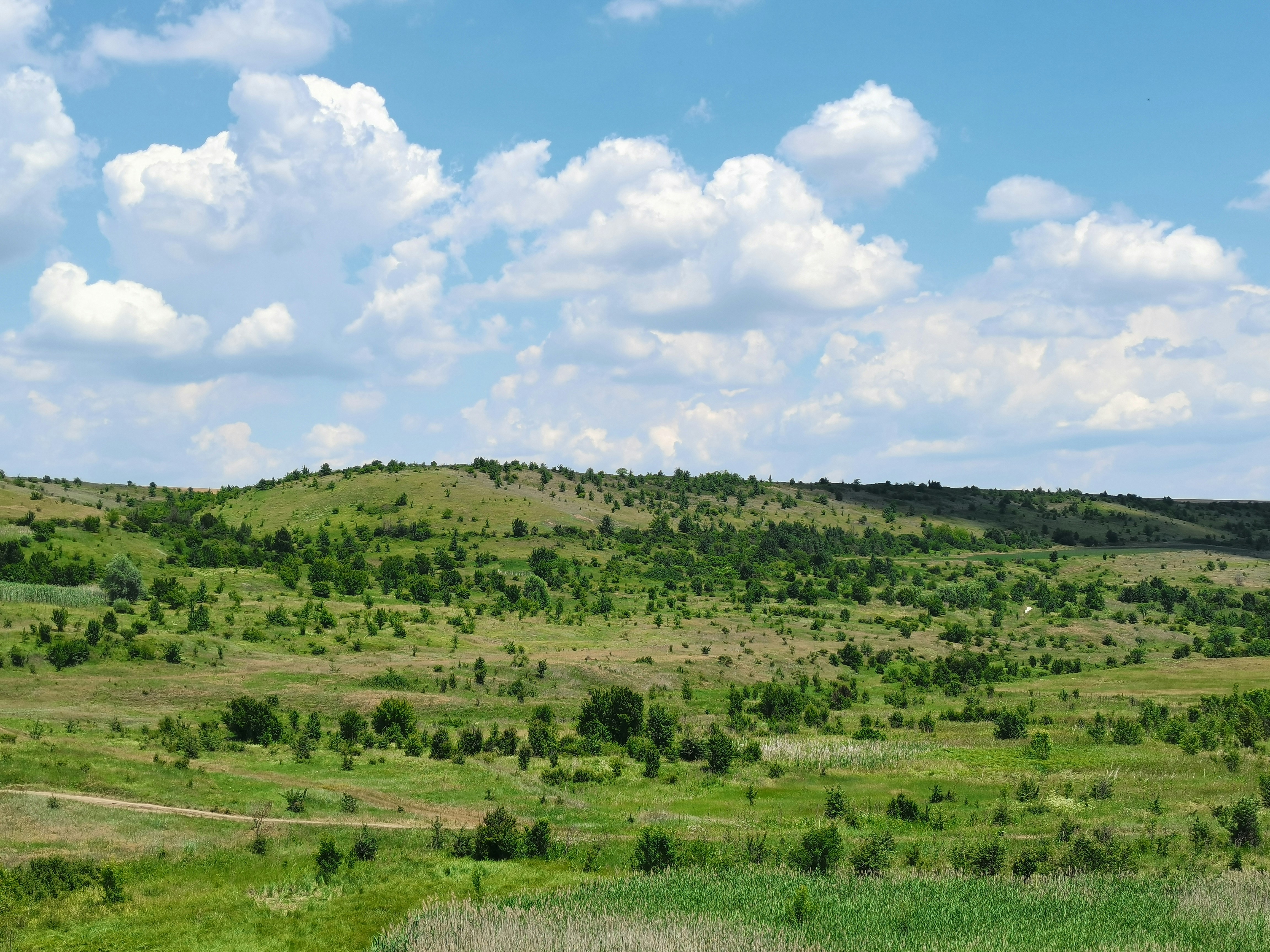 Photo by Liviu Drăguț with Huawei P40 Lite