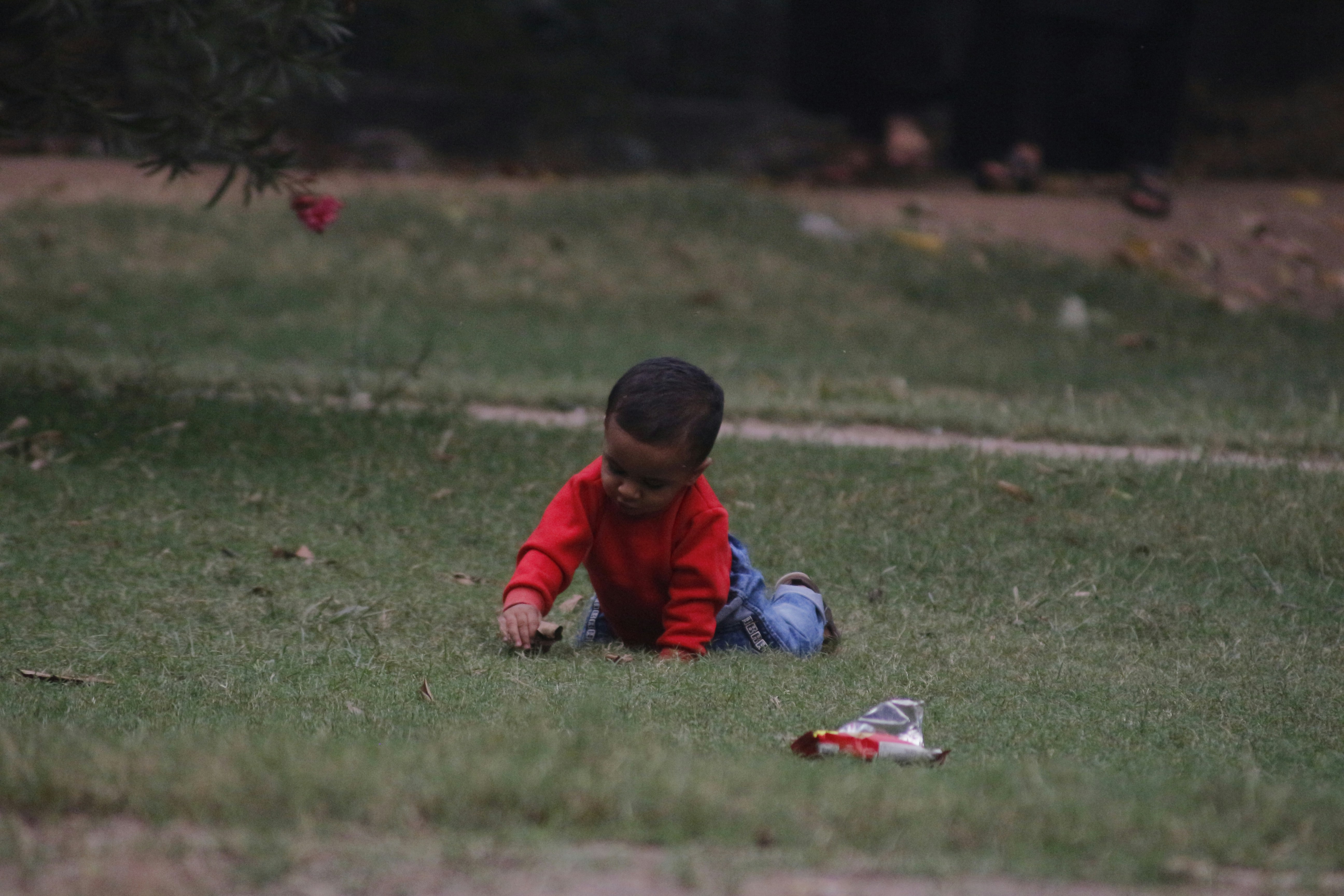 a child playing in the grass