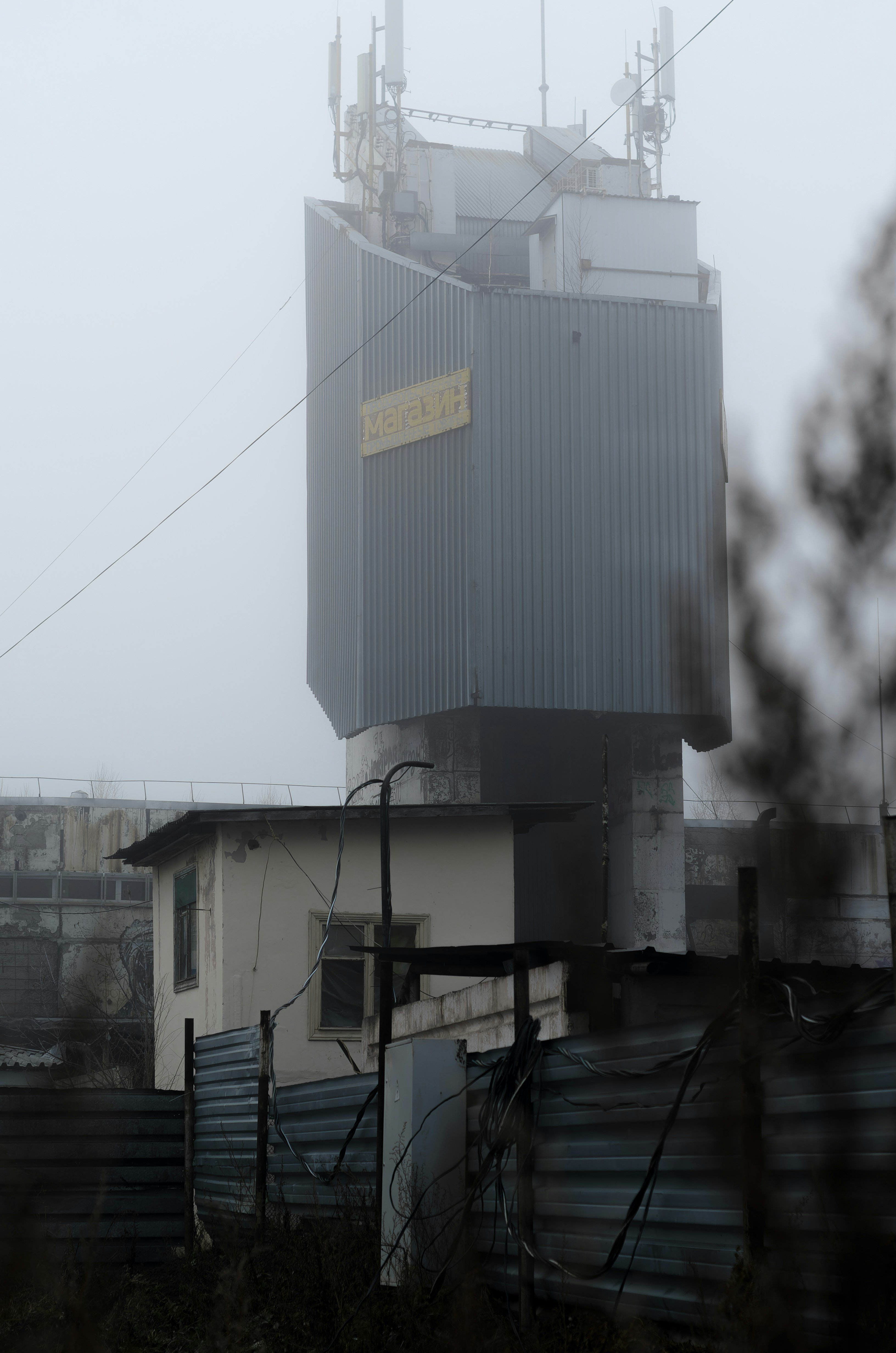 Mist-Lined Silhouette: A Deliquescent Monolith Overlooking a Quiet Yard