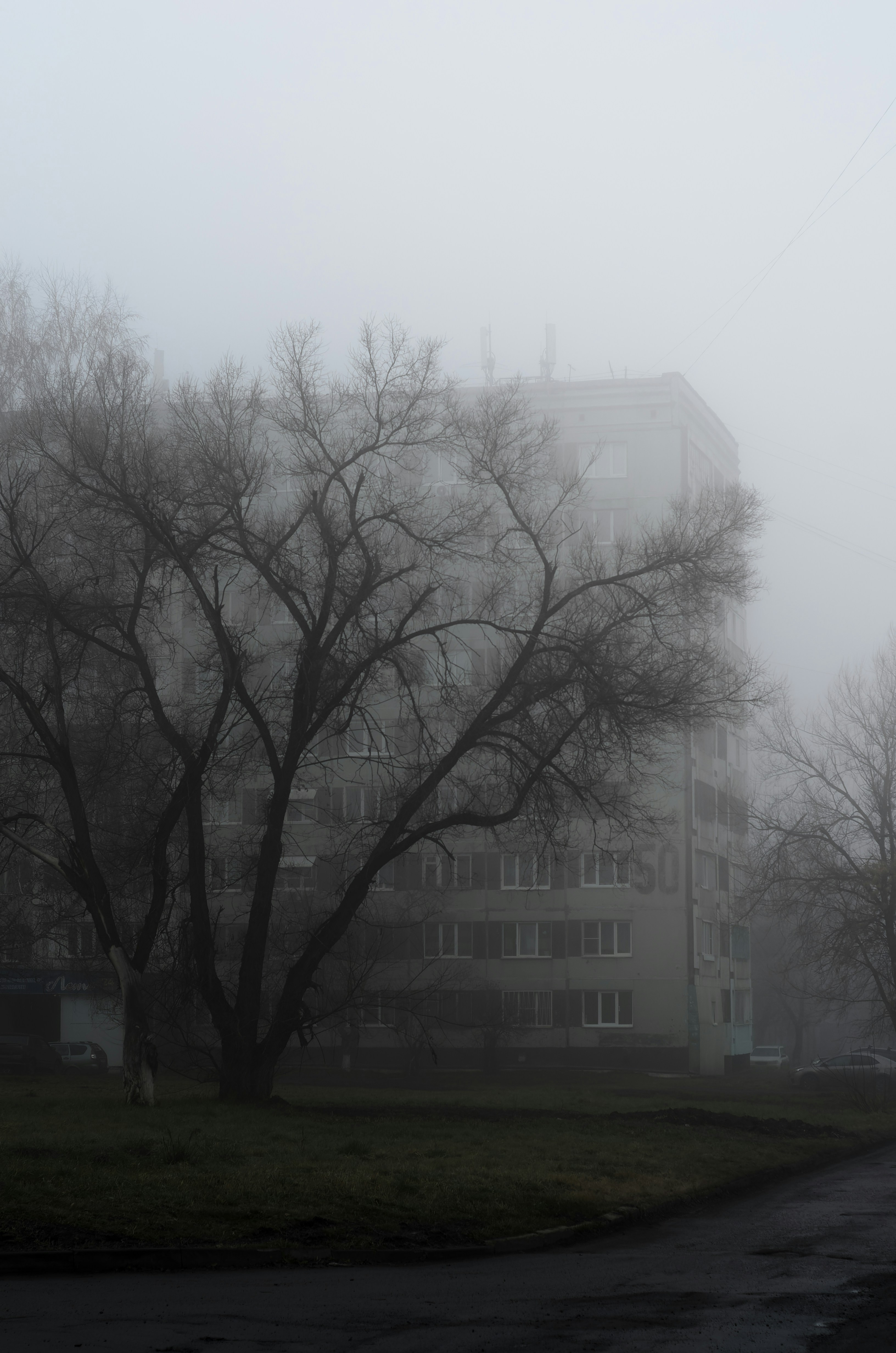 A building with trees in front of it photo – Free Fog Image on Unsplash