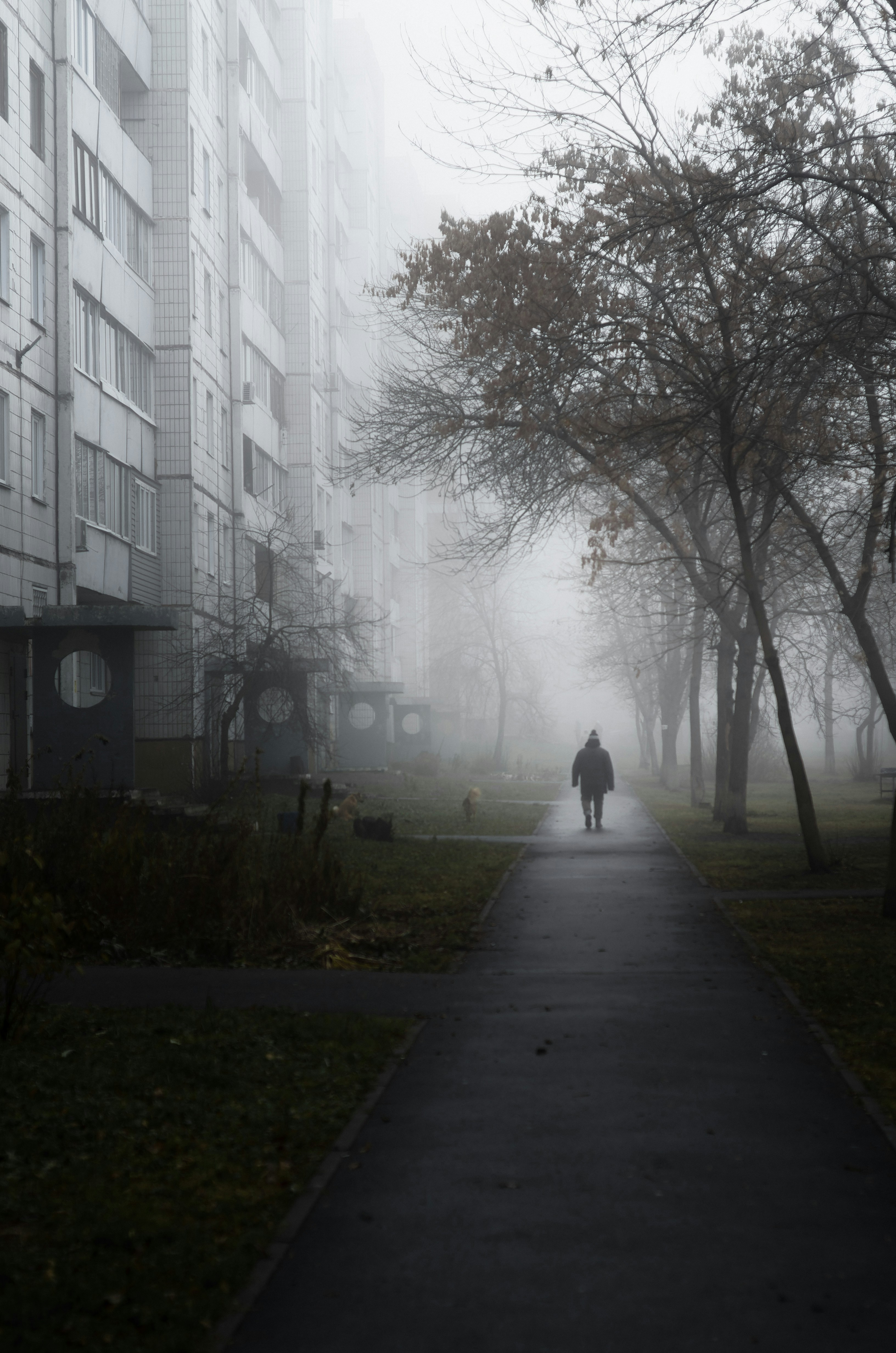 A person walking on a path between buildings photo – Free Person Image ...