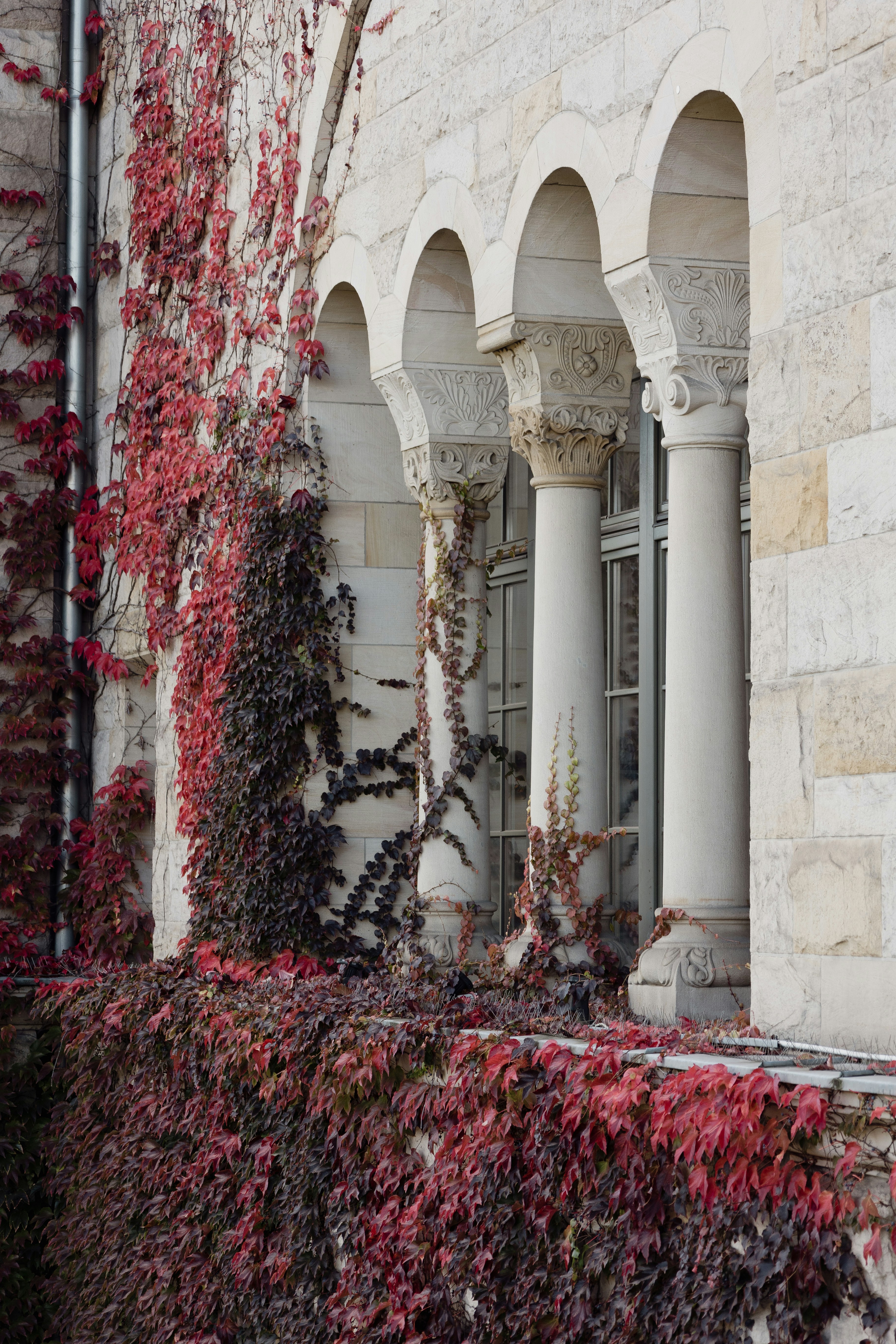 A building with pillars and plants photo – Free Poland Image on Unsplash