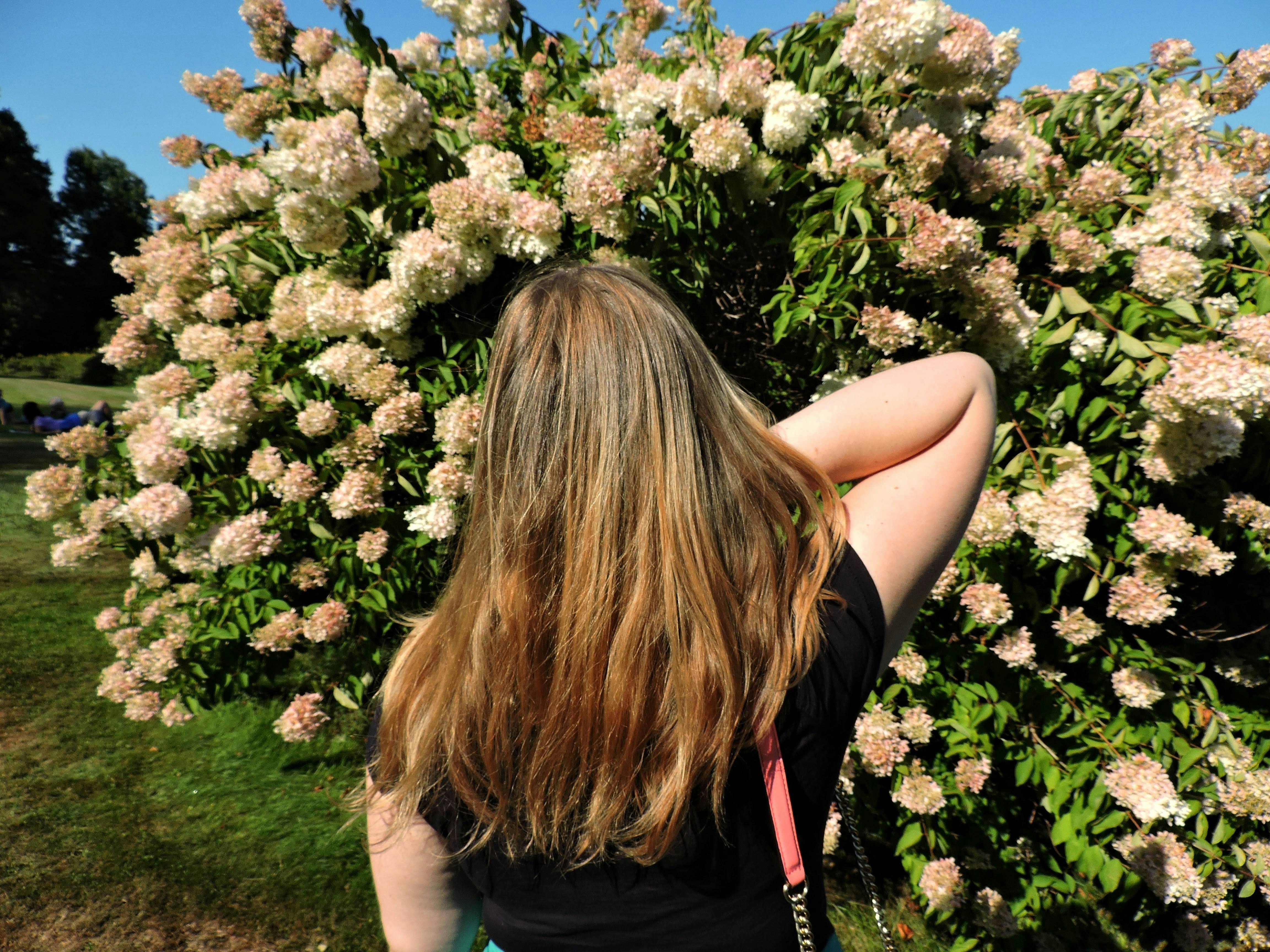 Portrait Behind a Blooming Hydrangea Wall