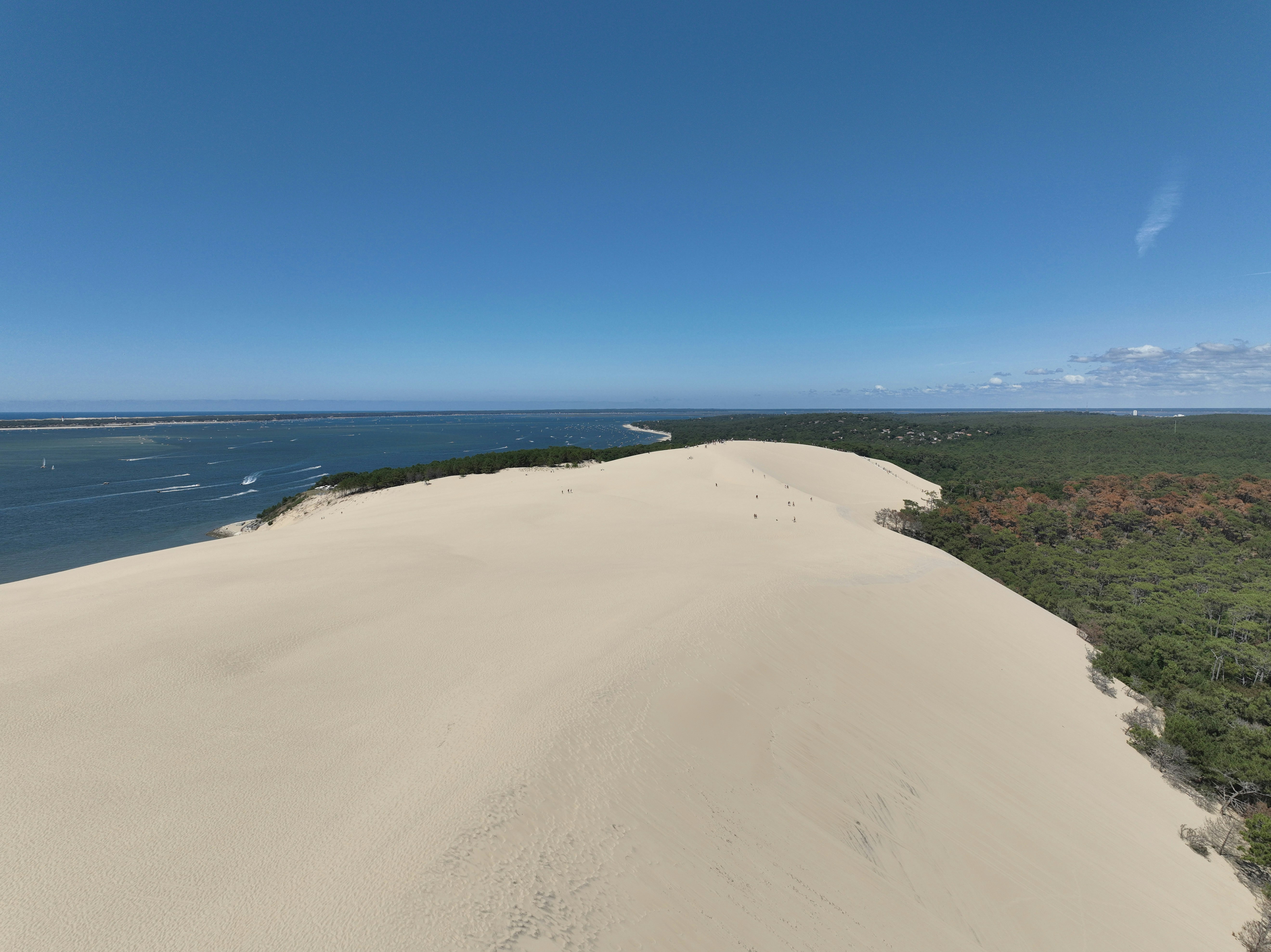 Sands of the Atlantic Edge