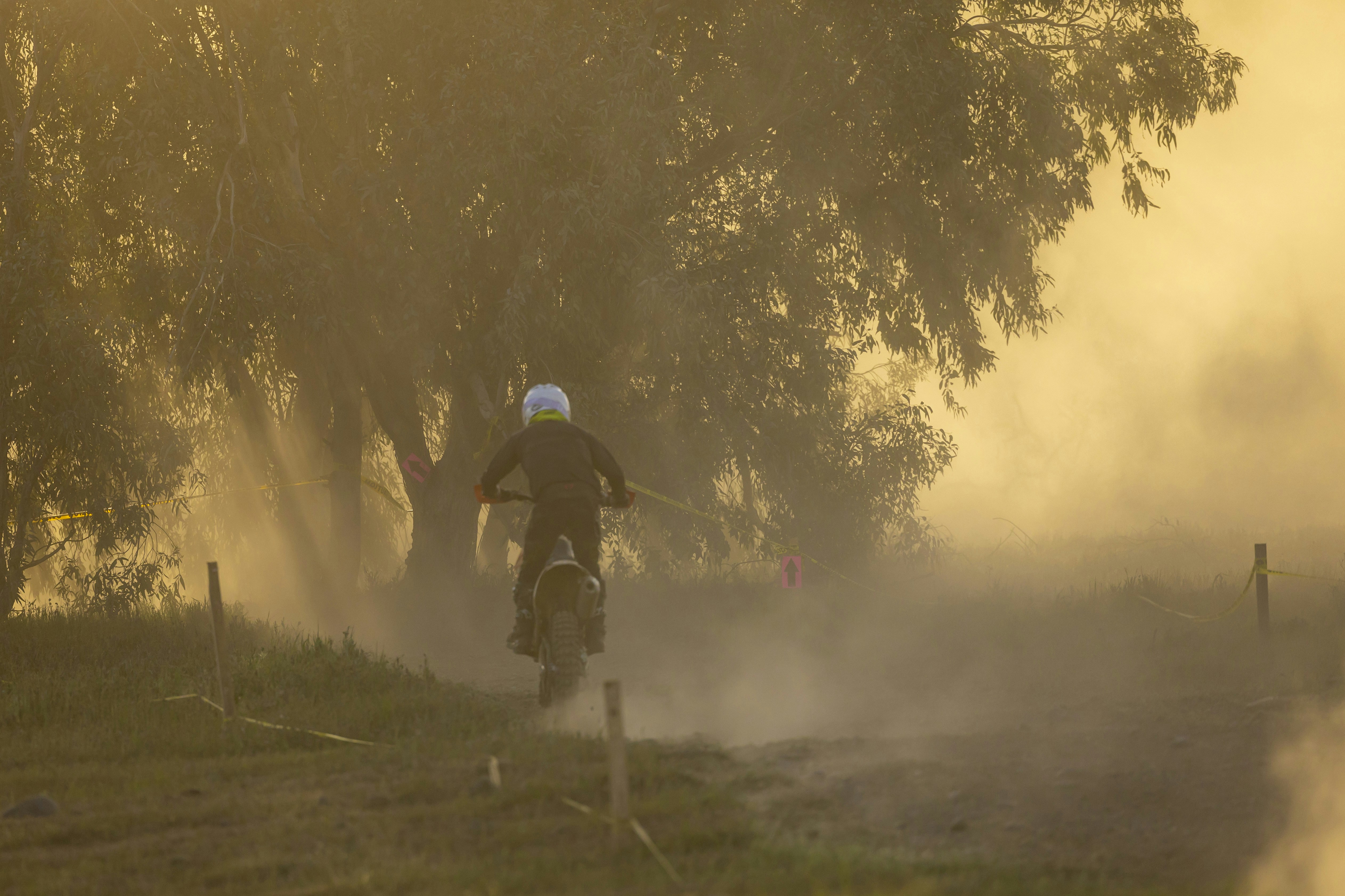 A person riding a bike on a dirt road with trees on either side photo ...