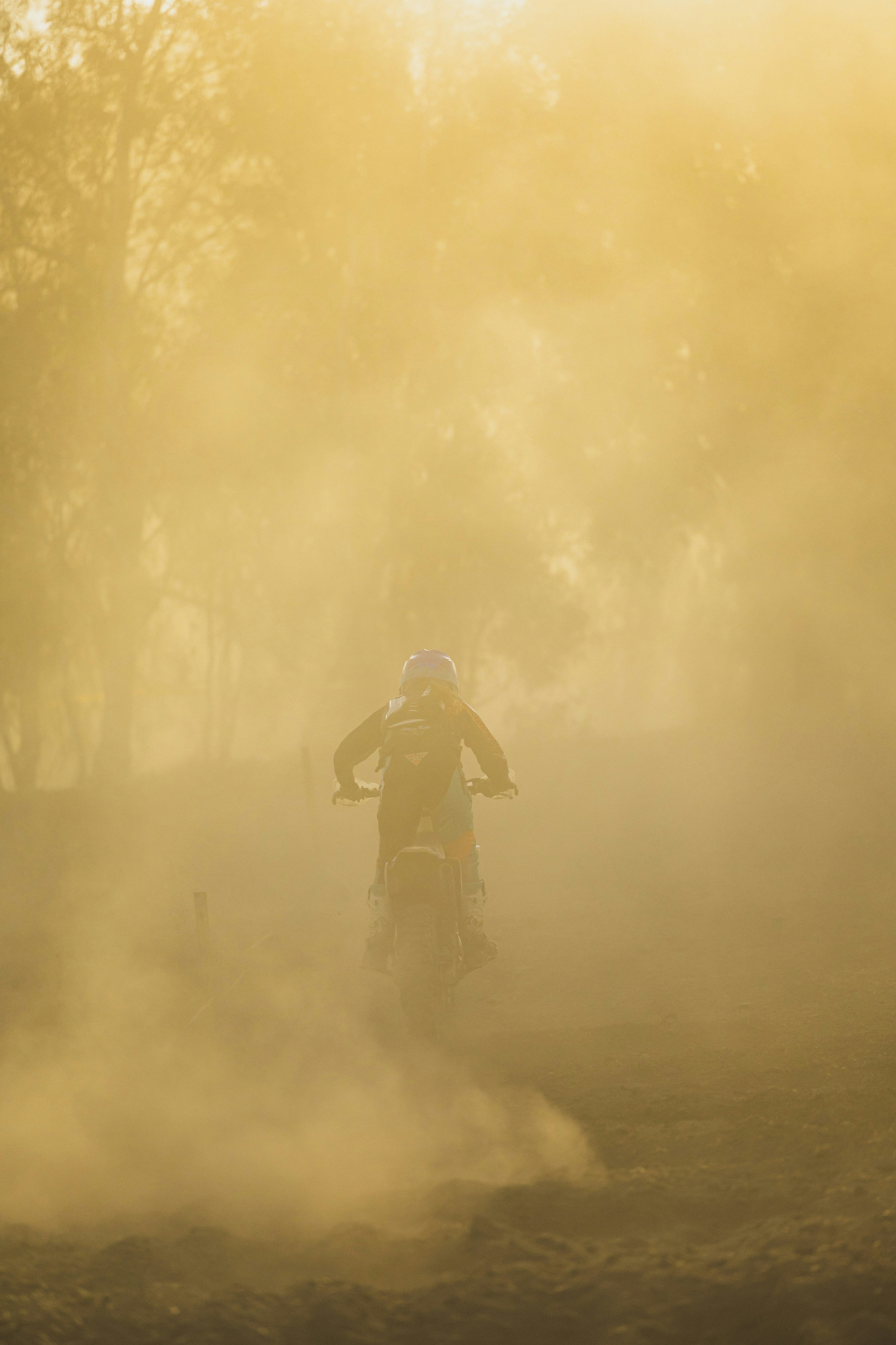 Golden Mist Rally: Dirt Bike Rider in a Sunlit Forest Drift