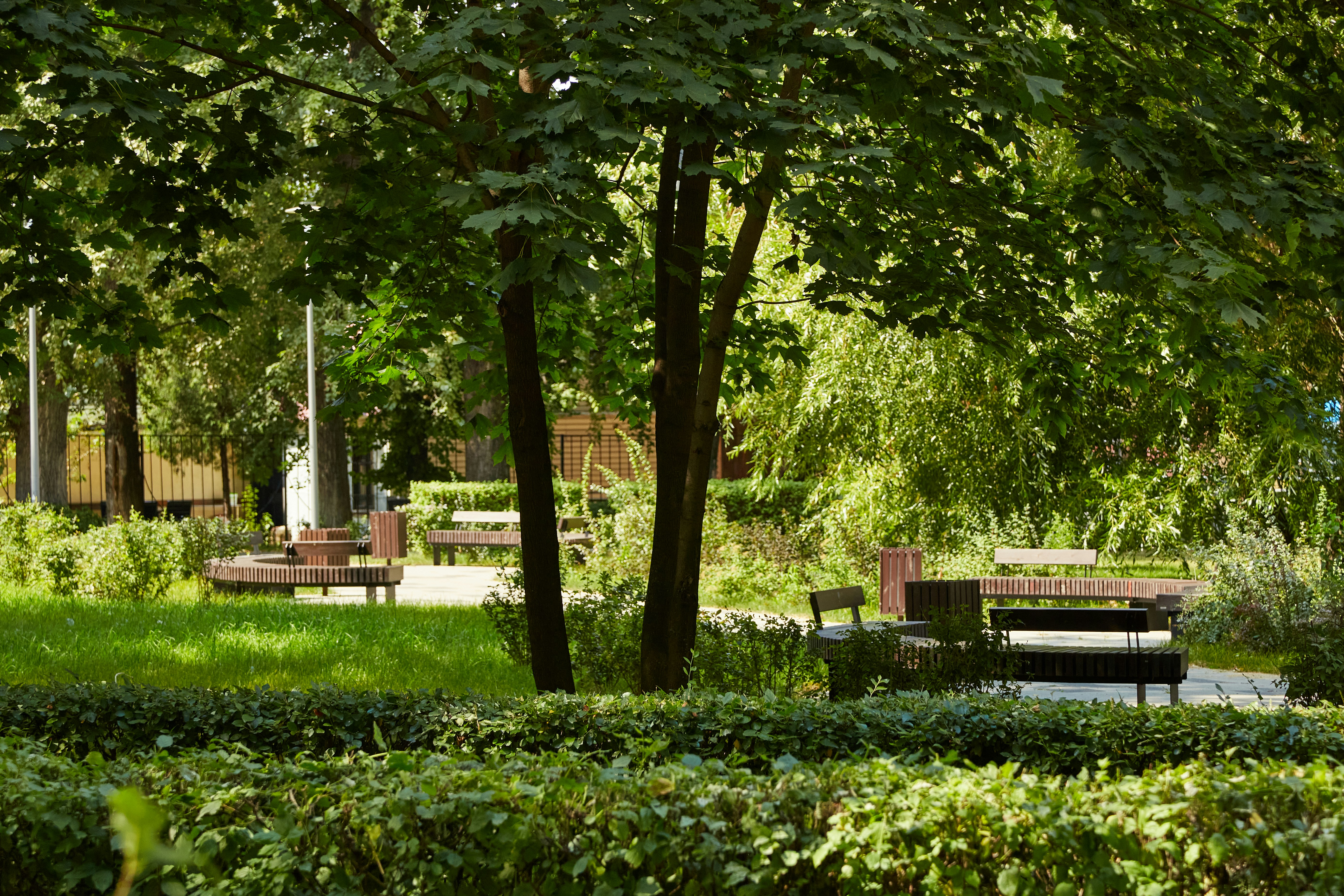 A park with benches and trees photo – Free Land Image on Unsplash
