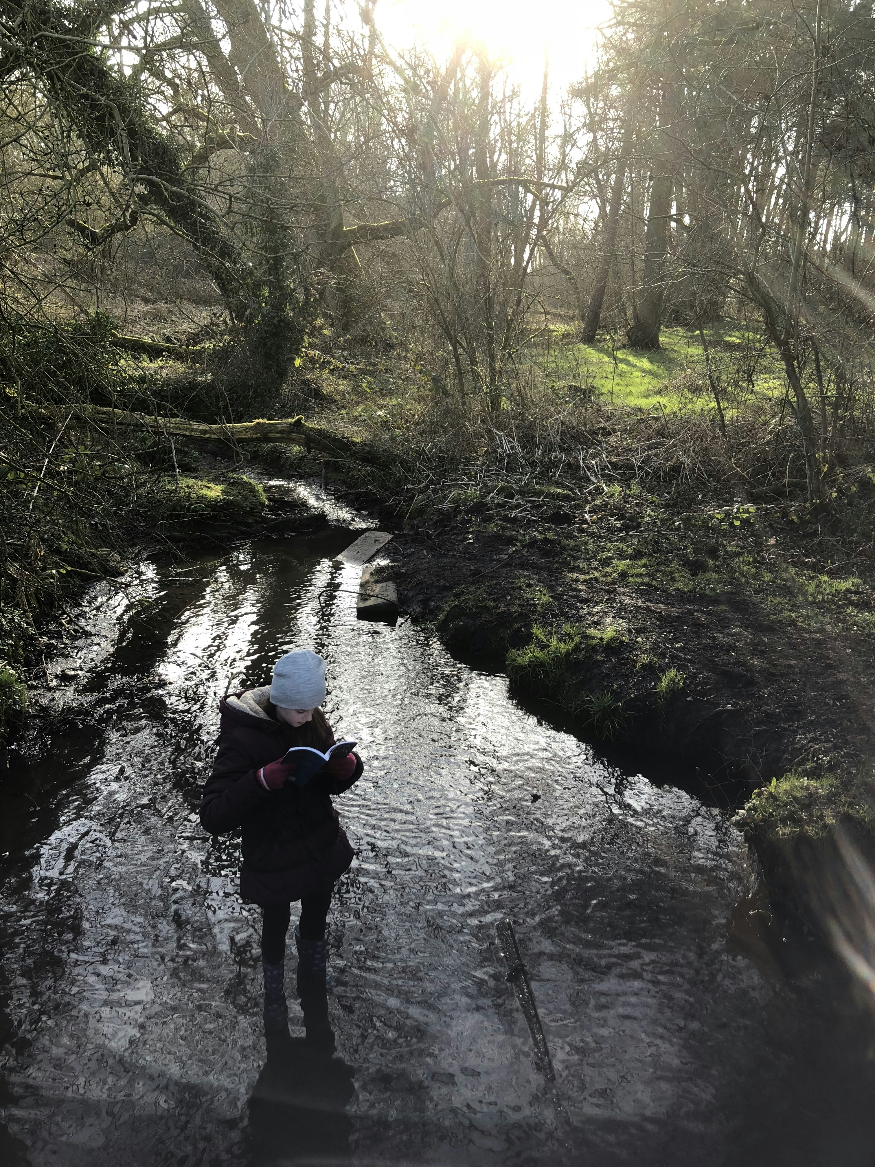 Child in a sunlit streambed, reading by the forest edge