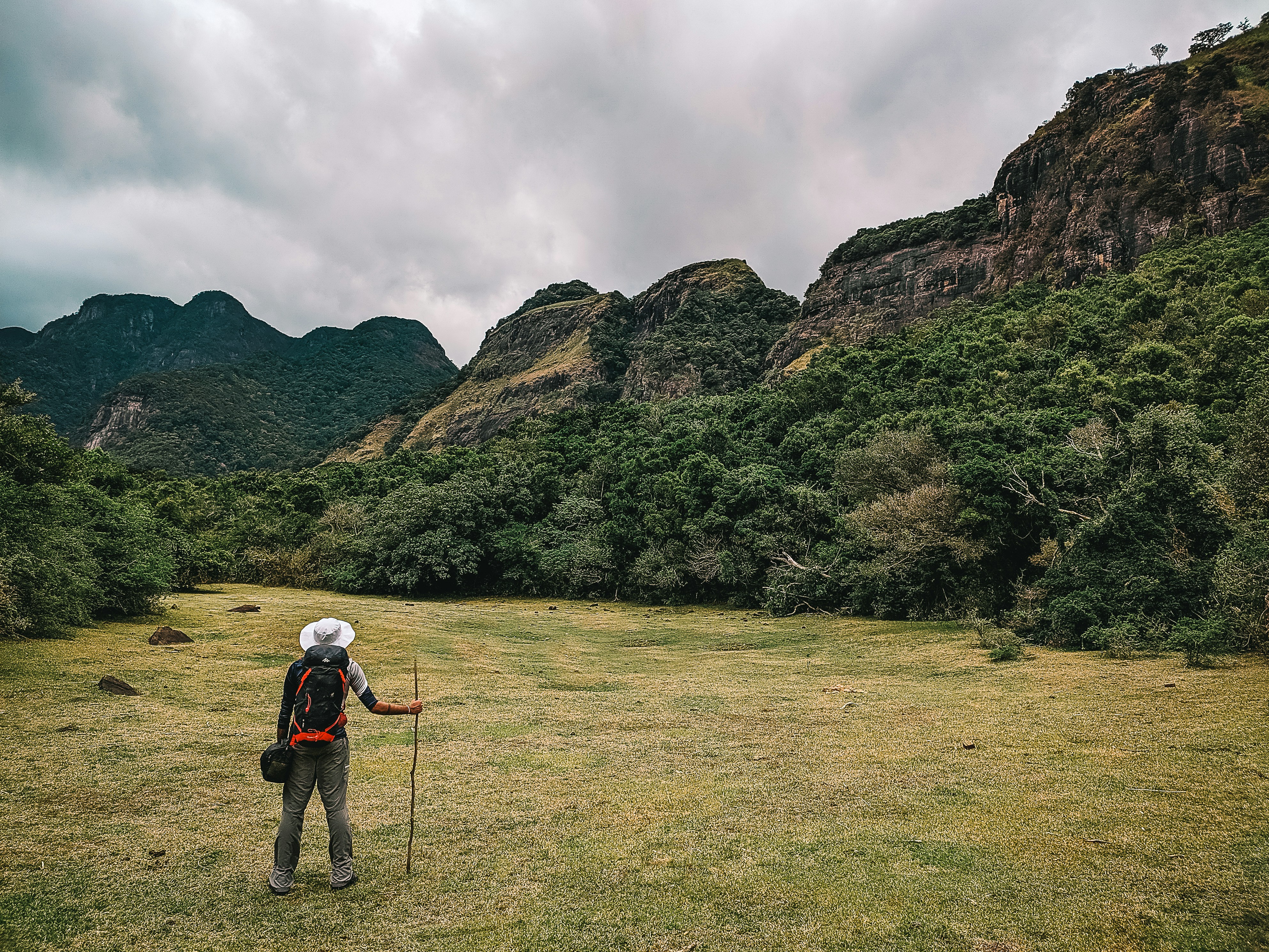 Hiker gazes at the majestic mountains, surrounded by lush greenery in a serene valley.