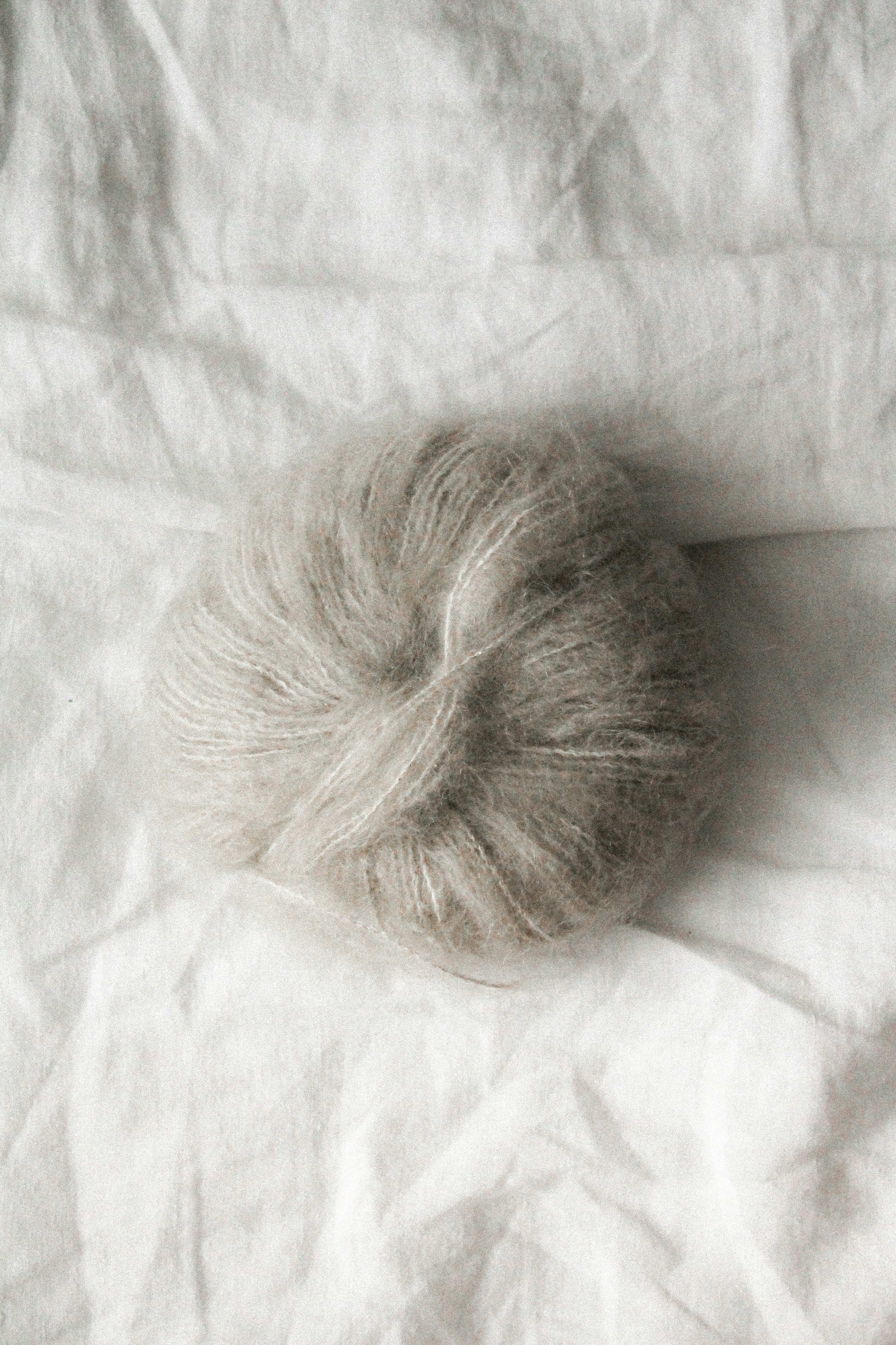 Photo by Nynne Schrøder with Canon EOS 1100D