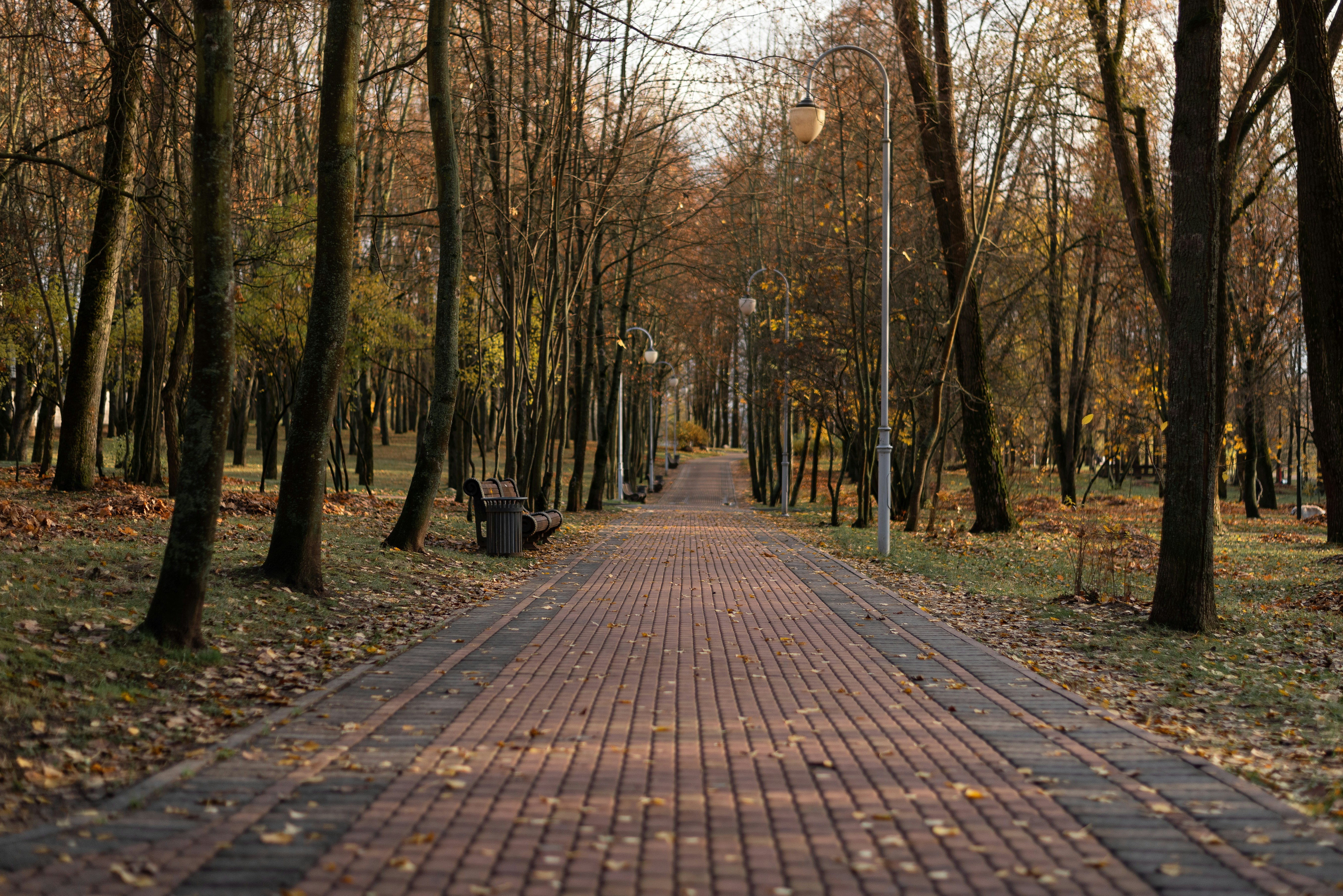 Vanishing Point on a Leaf-Strewn Brick Path