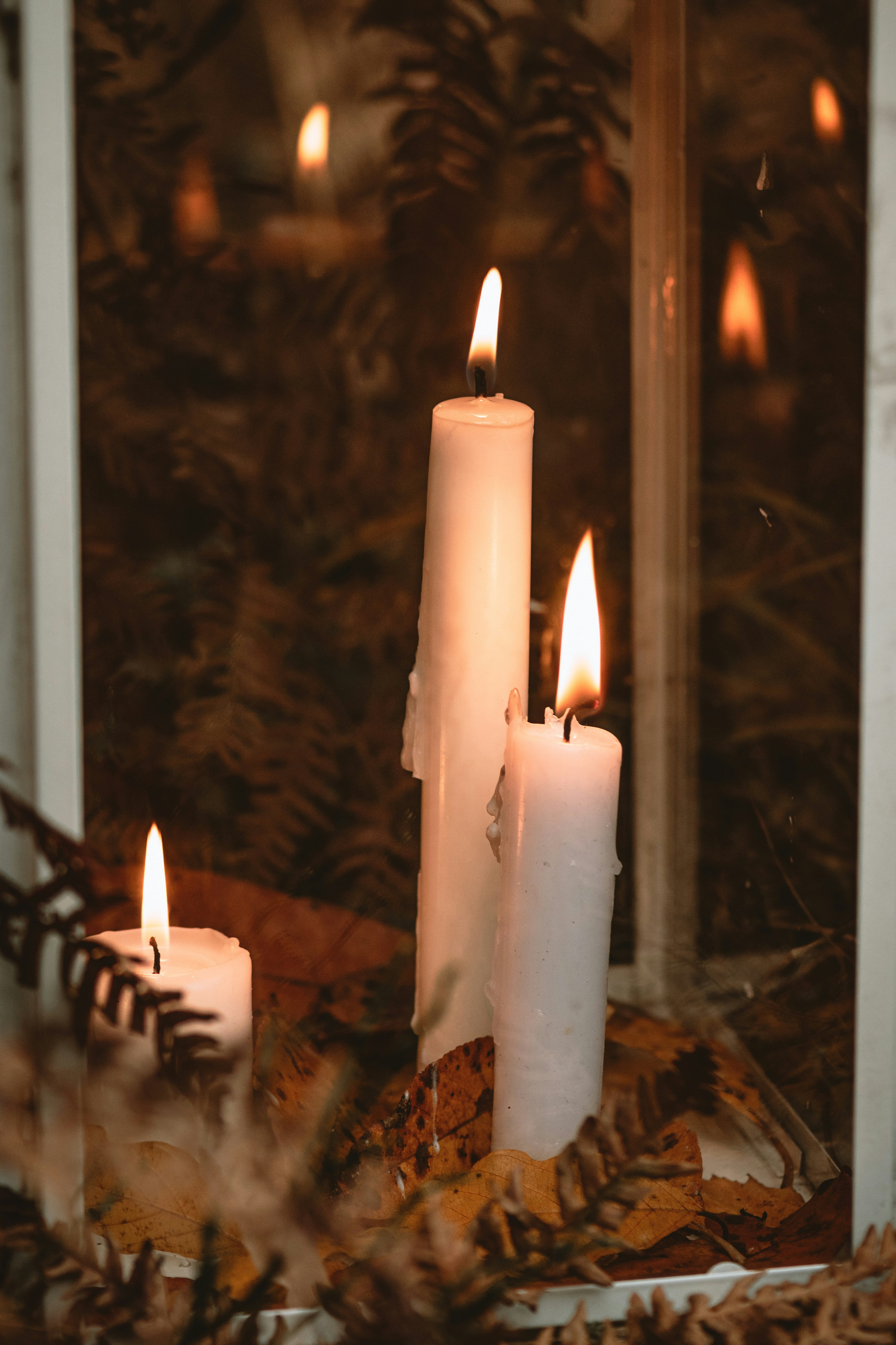 Photo by Anita Austvika with Nikon D850