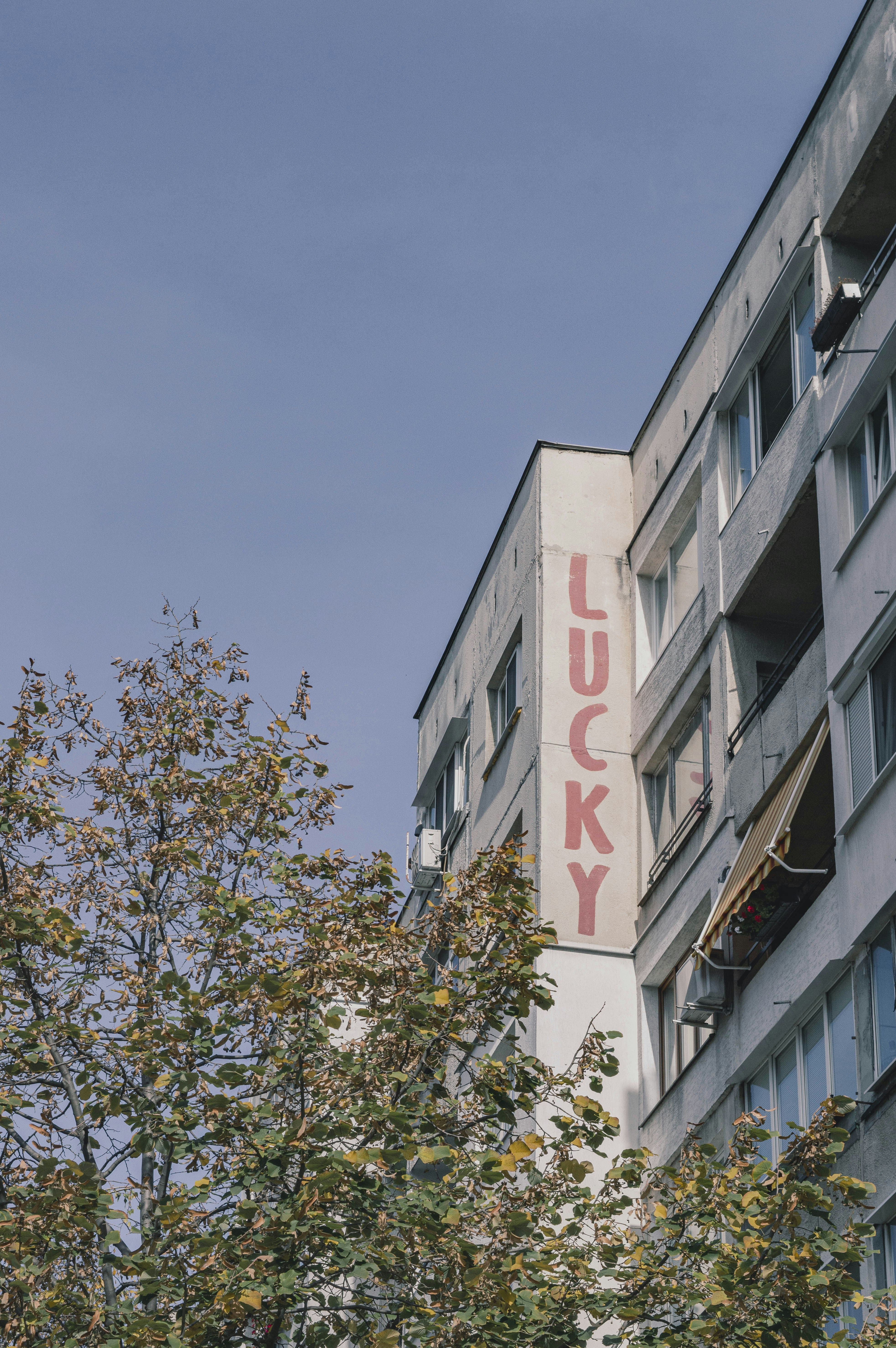 LUCKY Sign on a Weathered Apartment Block Framed by Tree Foliage under a Clear Blue Sky
