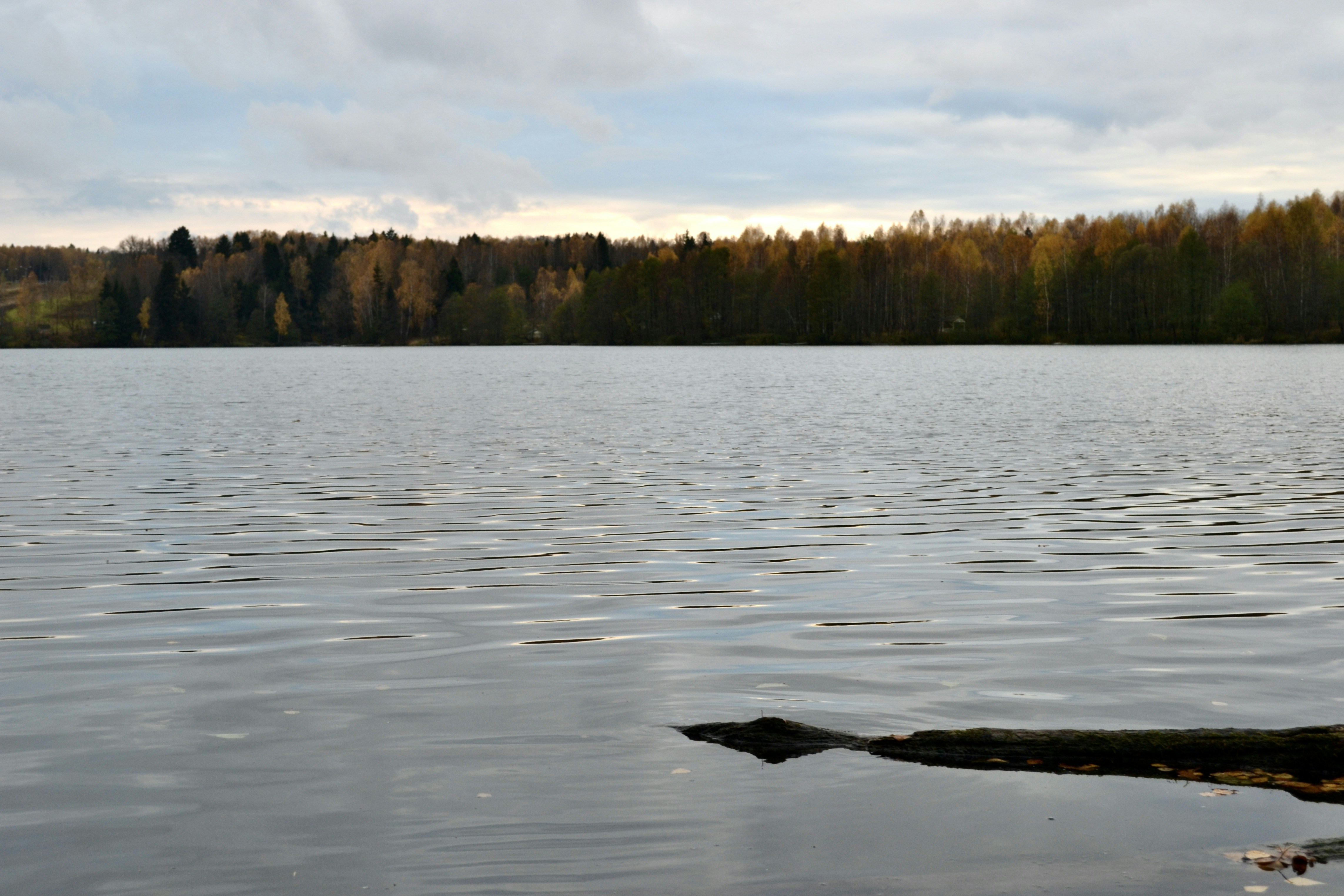 Autumn in the Kaluga forests