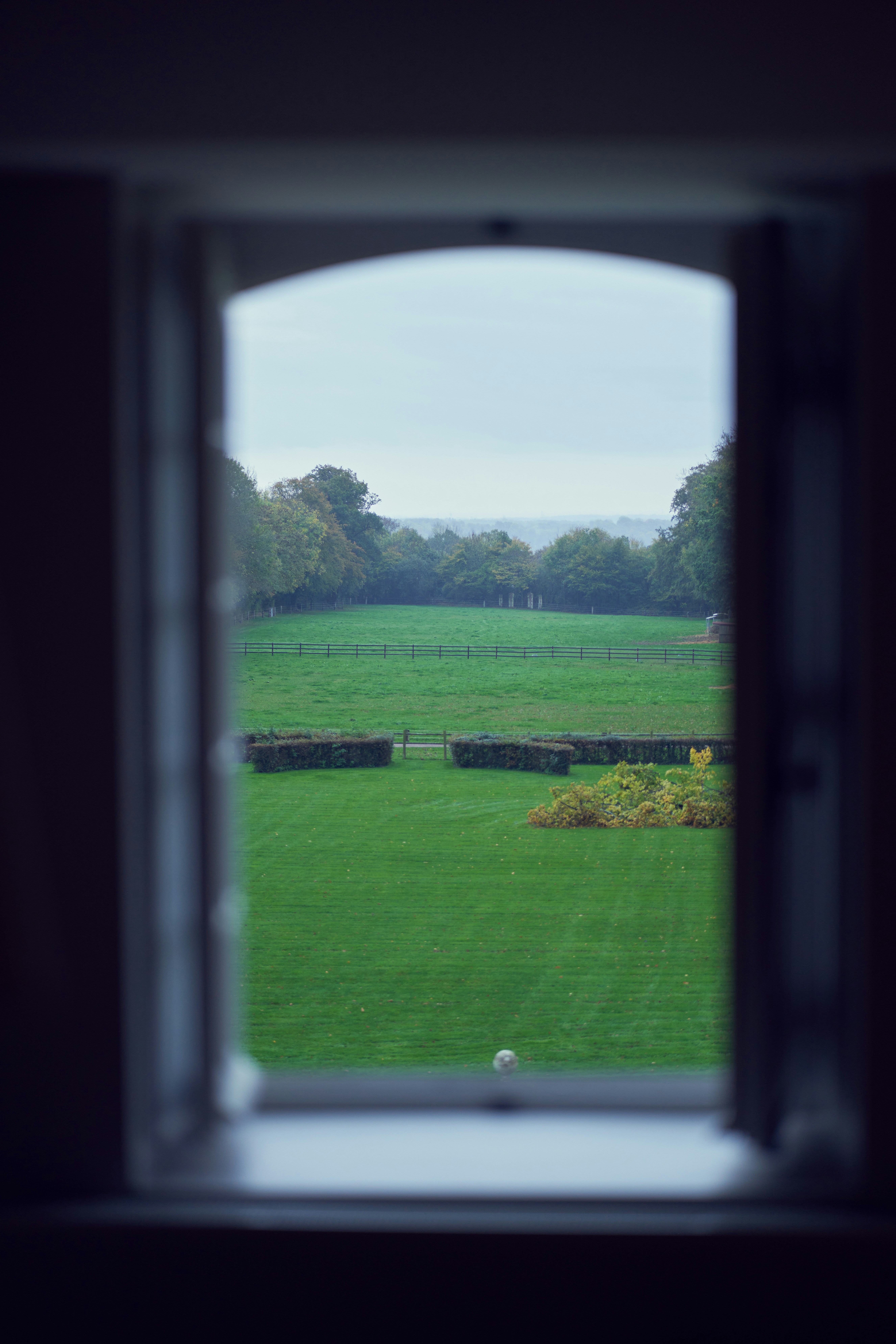 Framed Meadow: A Windowed View to a Quiet Green Horizon
