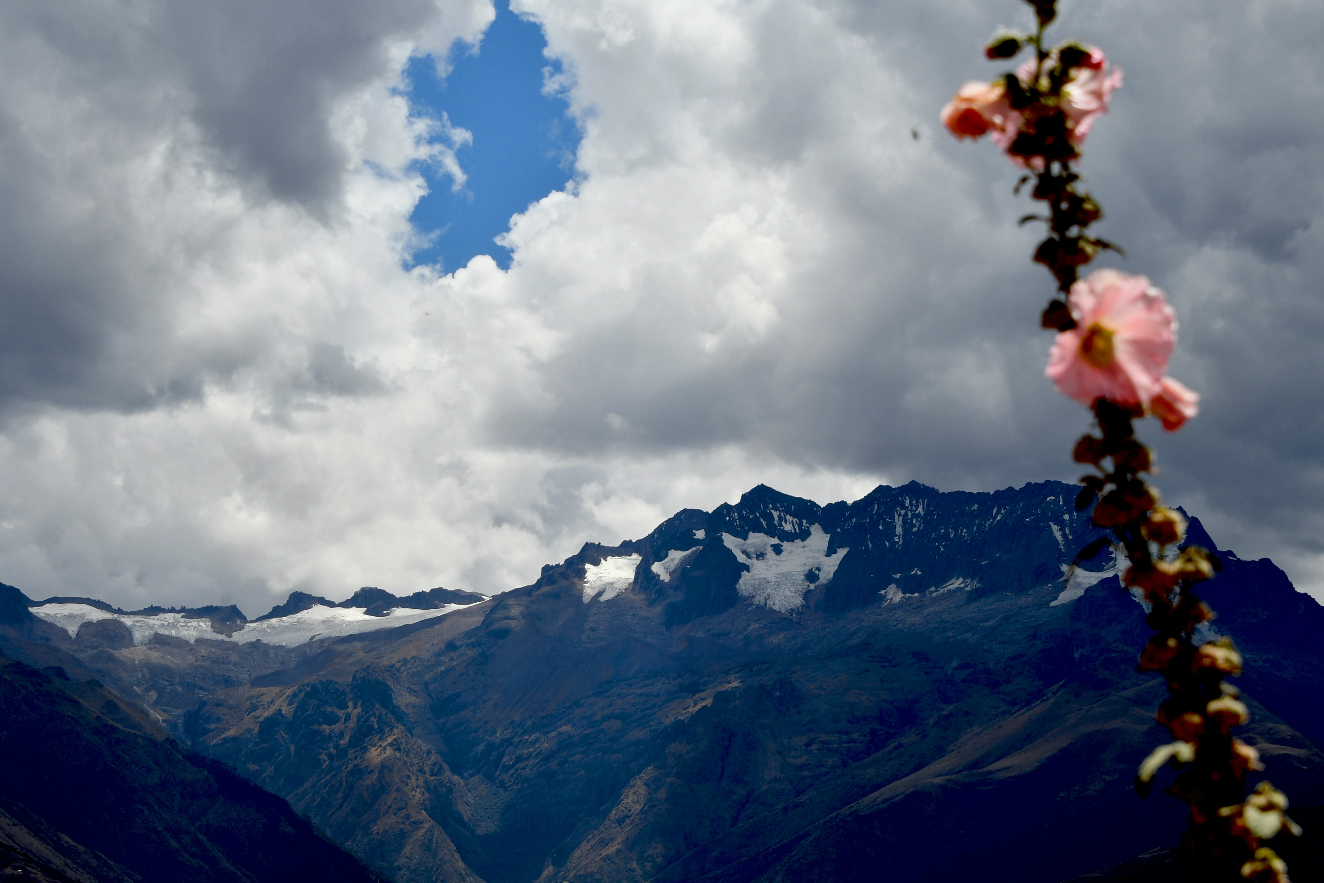 Crimson Bloom Framing the Alpine Vista