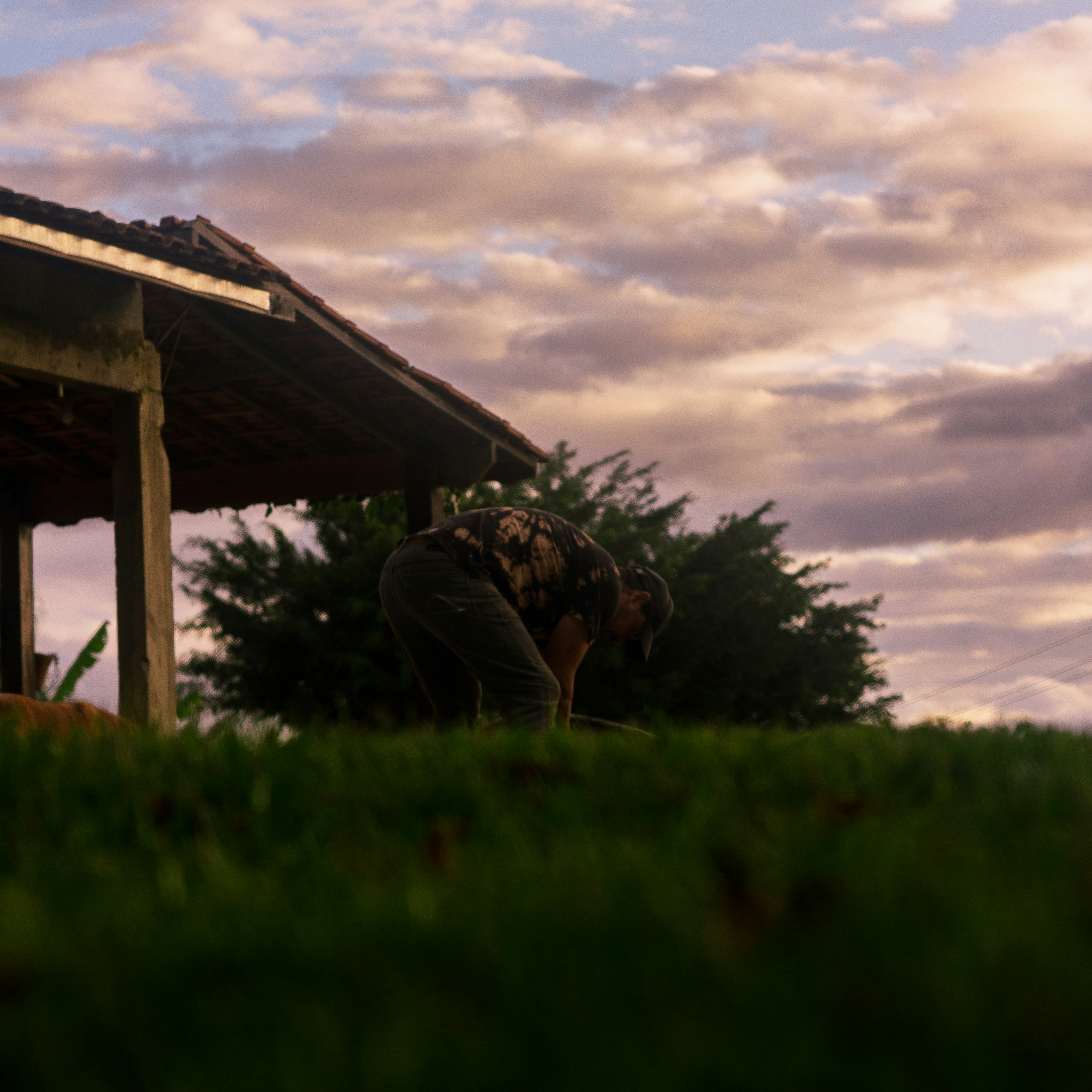 A figure crouches in a lush green field under a rustic shelter, surrounded by vibrant foliage as the sun sets, casting a warm glow across the scene.