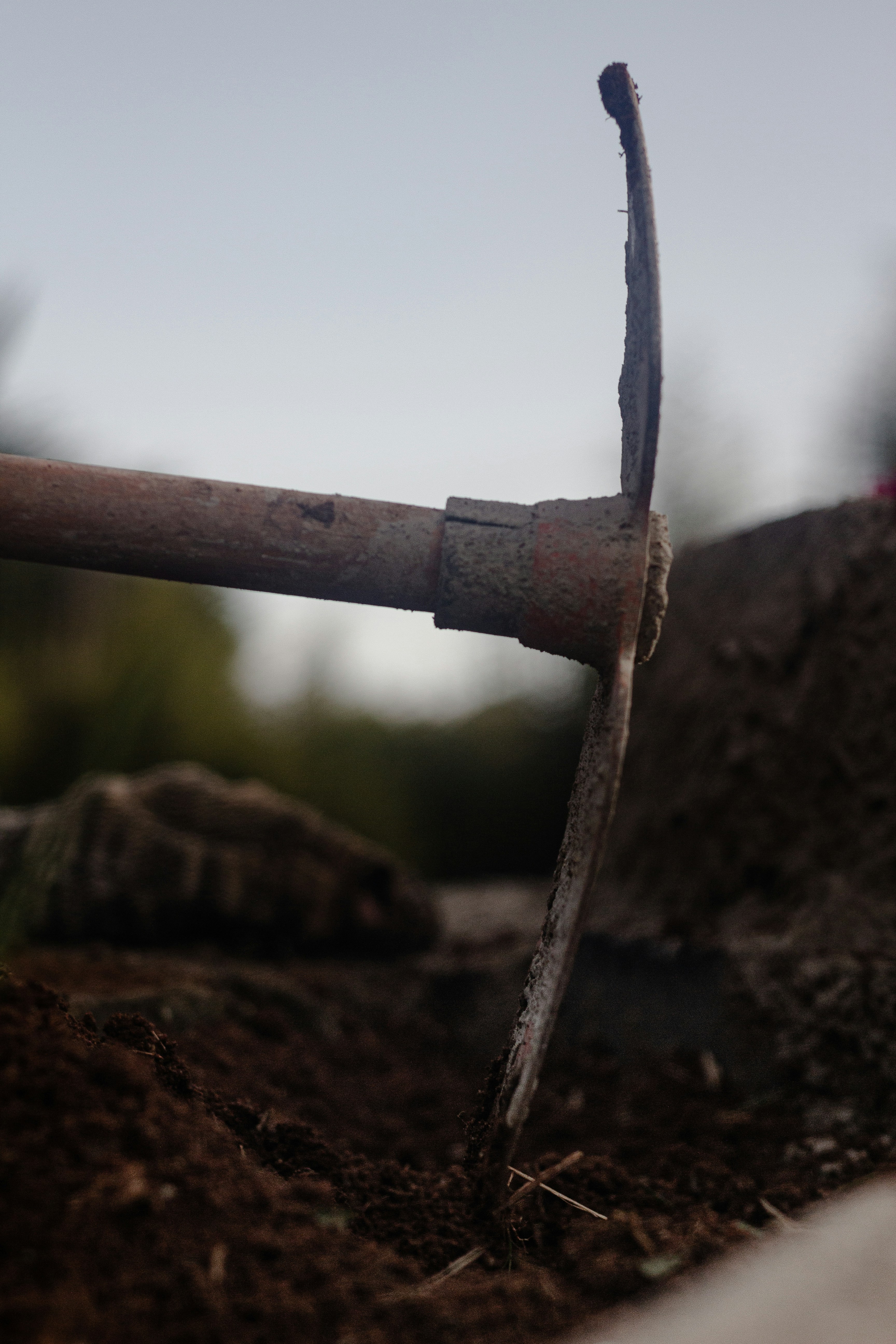 Gros plan d’une pelle photo – Photo São Paulo Gratuite sur Unsplash