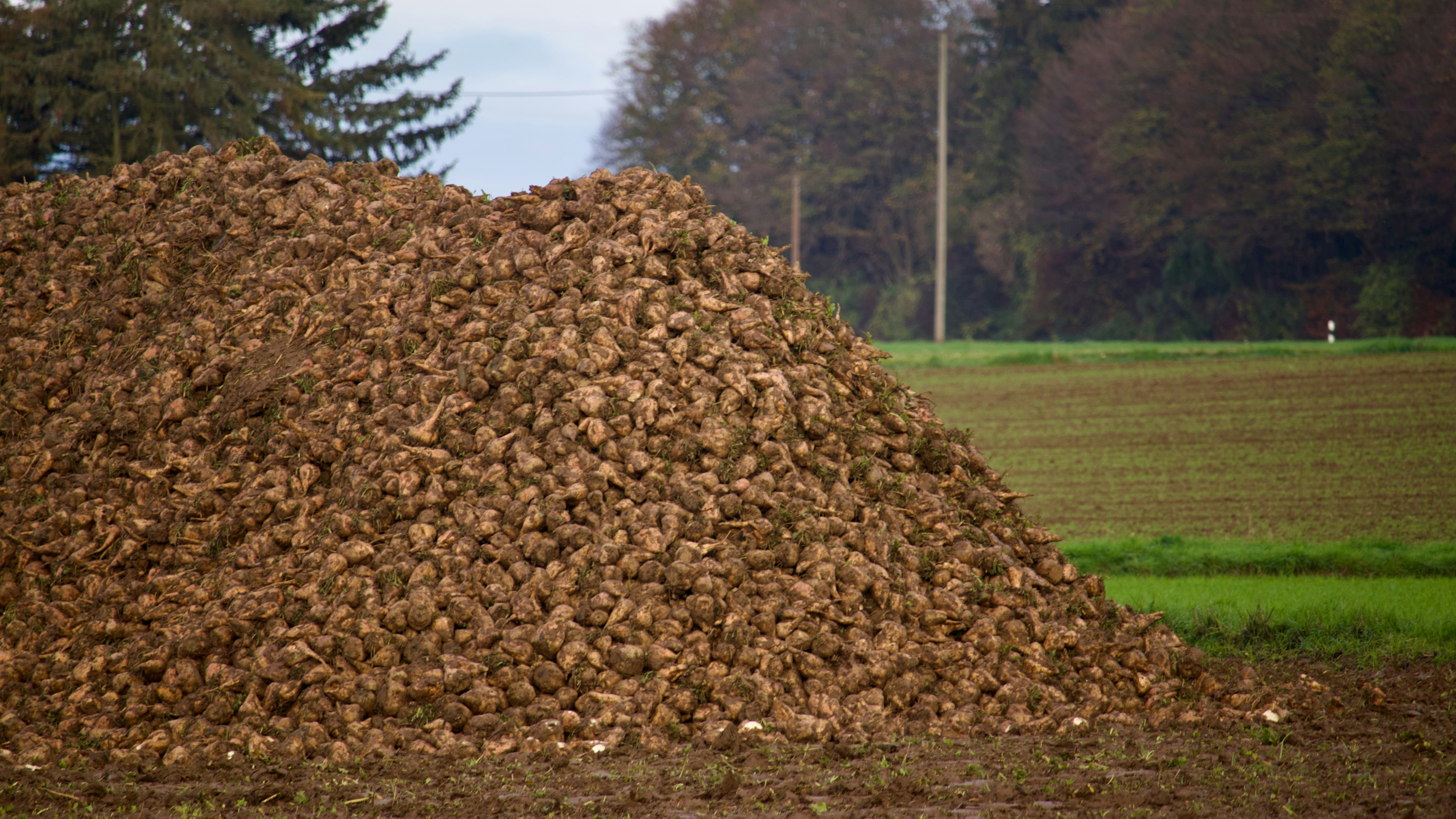 Heap of Gravel: Earthy Mound Dominating a Quiet Field