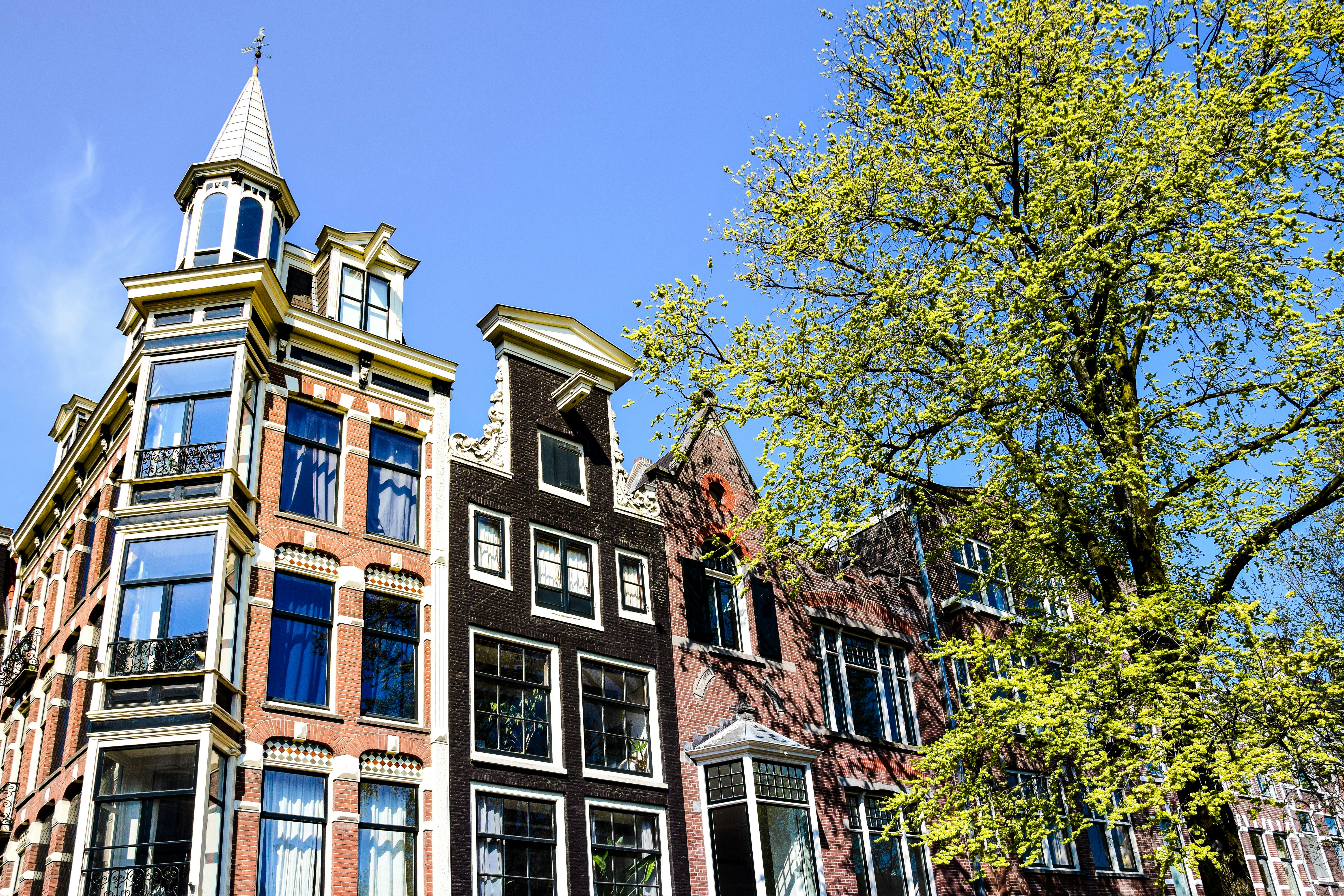 A row of buildings photo – Free Netherlands Image on Unsplash