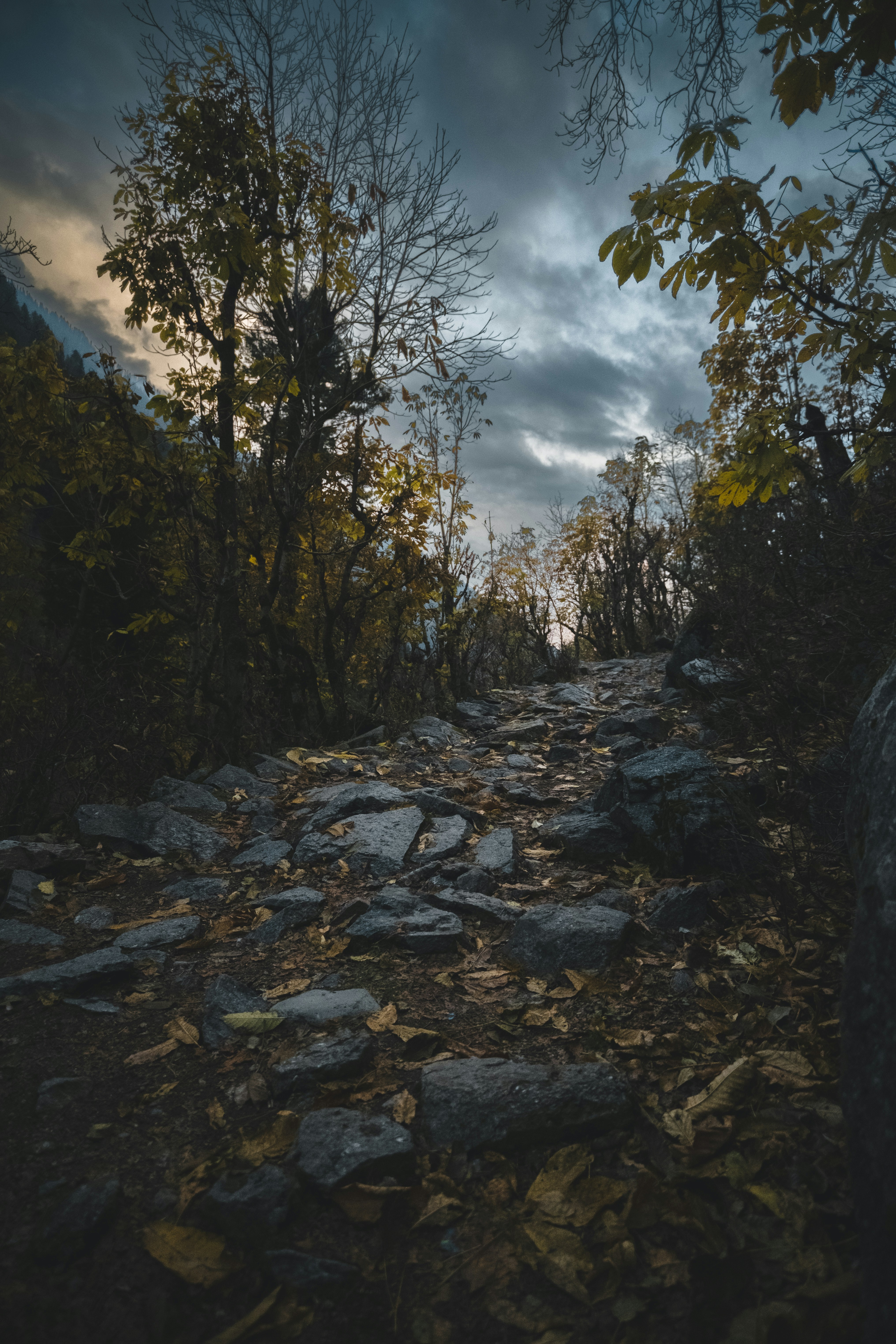 Stone Path to the Distant Sky: An Autumnal Ascent Through Rock and Leaf