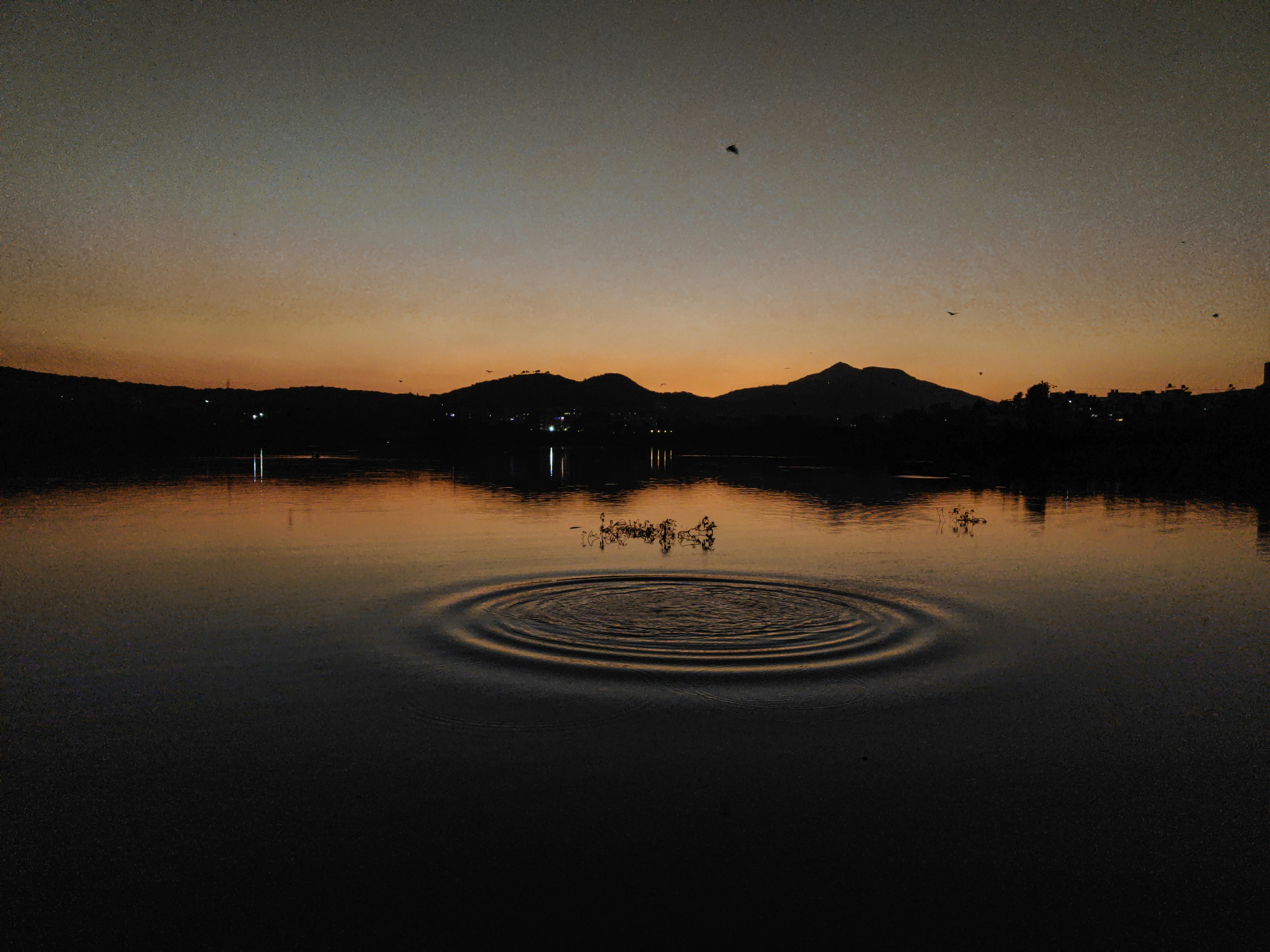 Concentric Echoes at Dusk Over a Quiet Lake