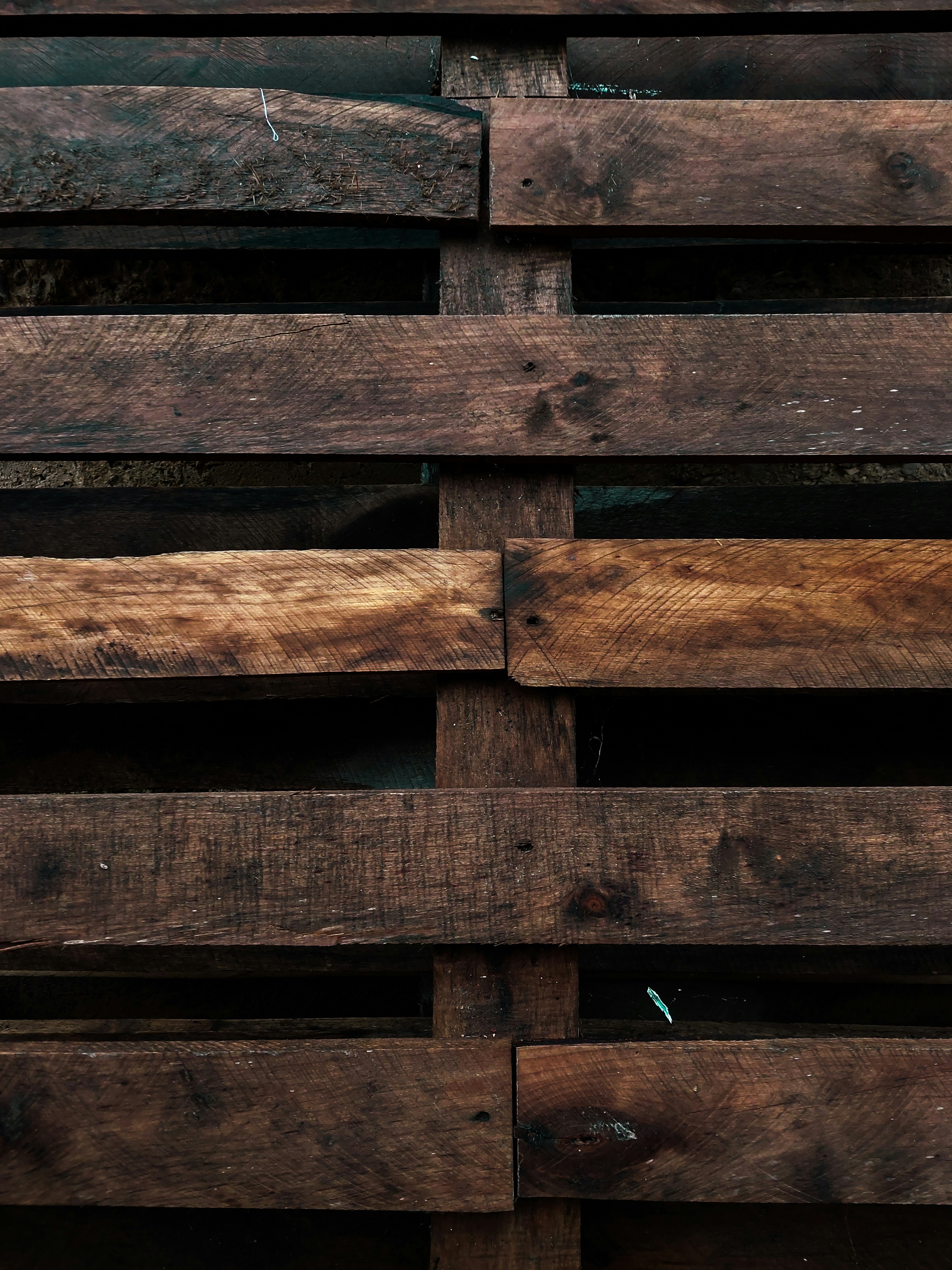 Photo by Tami Seyidova with Samsung Galaxy A52